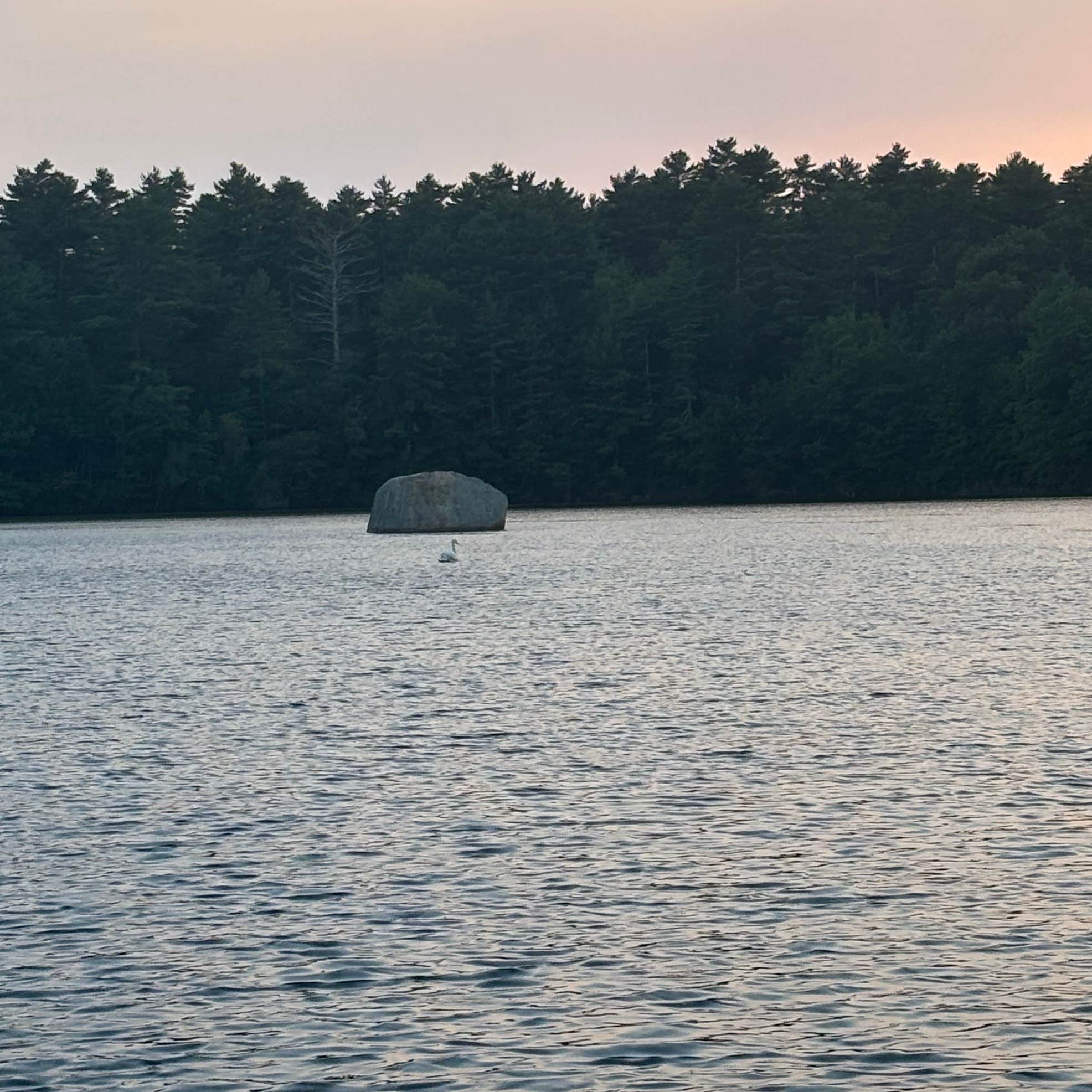 Massasoit State Park Campground | Lakeville, Massachusetts