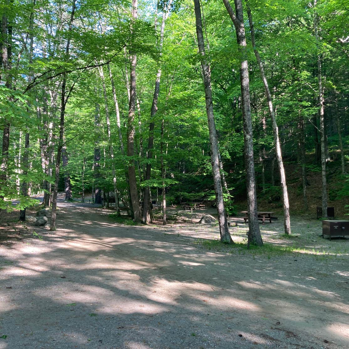 Mohawk Trail State Forest Campground | Drury, Massachusetts