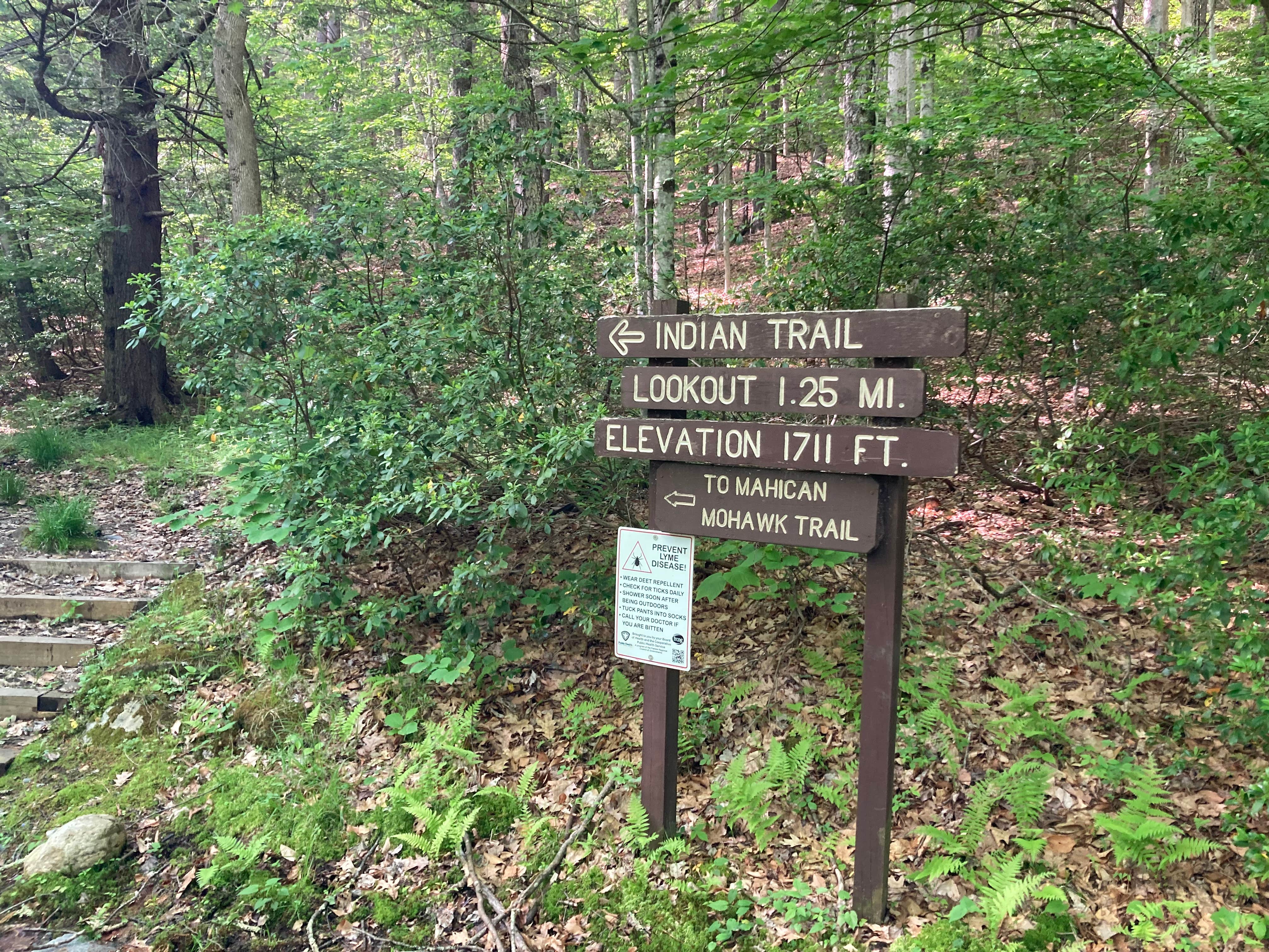 Mohawk Trail State Forest Camping | Charlemont, MA
