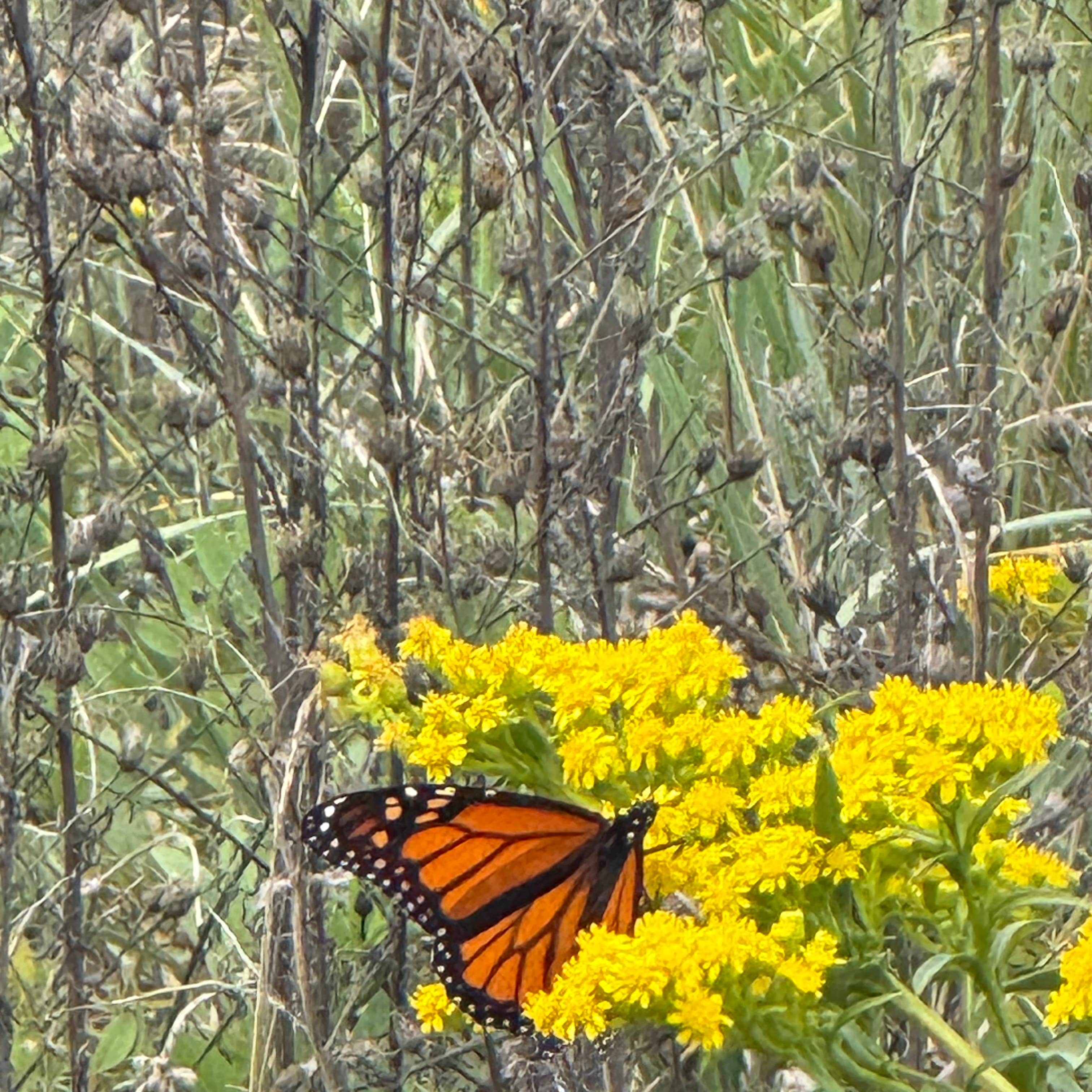 Salisbury Beach State Reservation Camping | Salisbury, Massachusetts