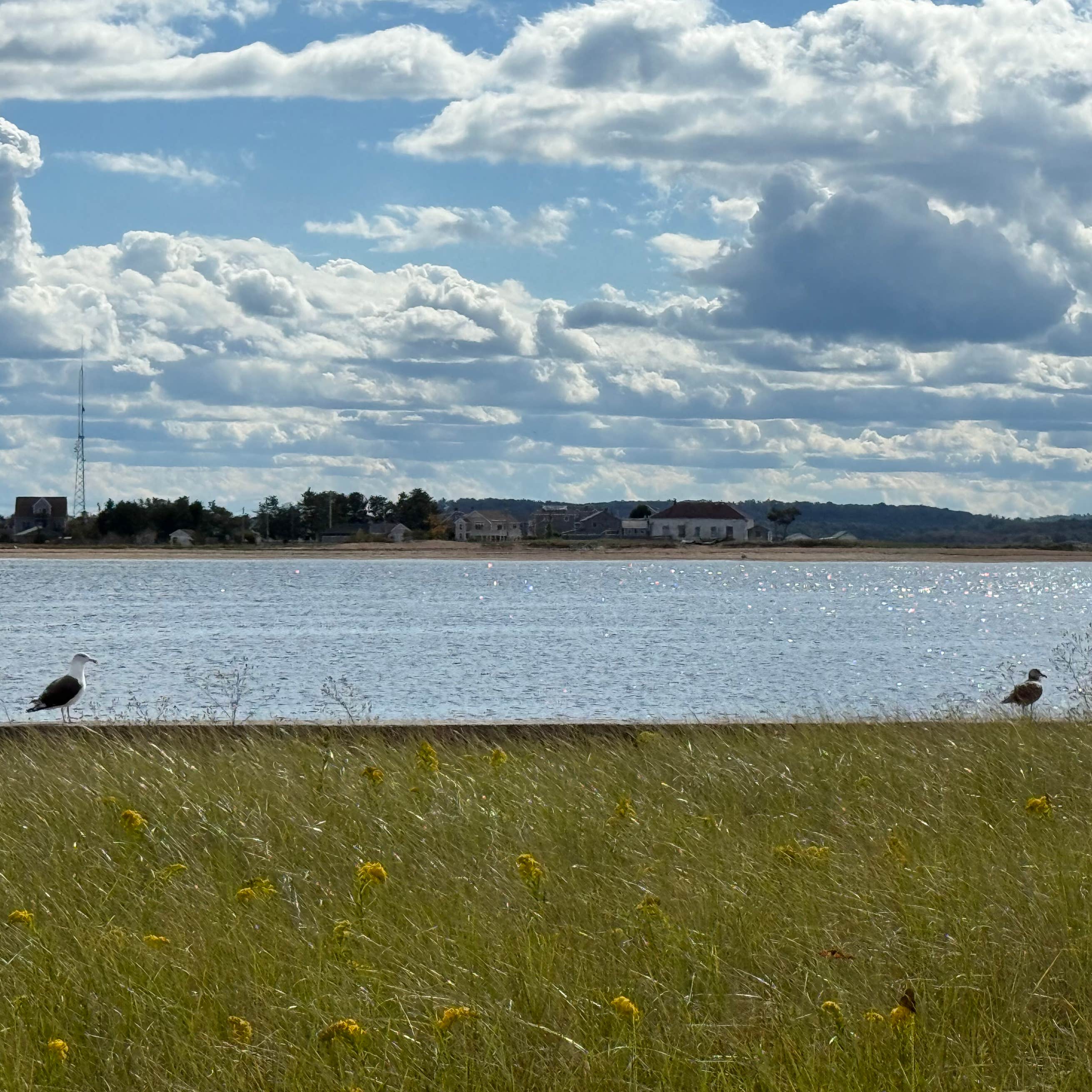 Salisbury Beach State Reservation Camping | Salisbury, Massachusetts