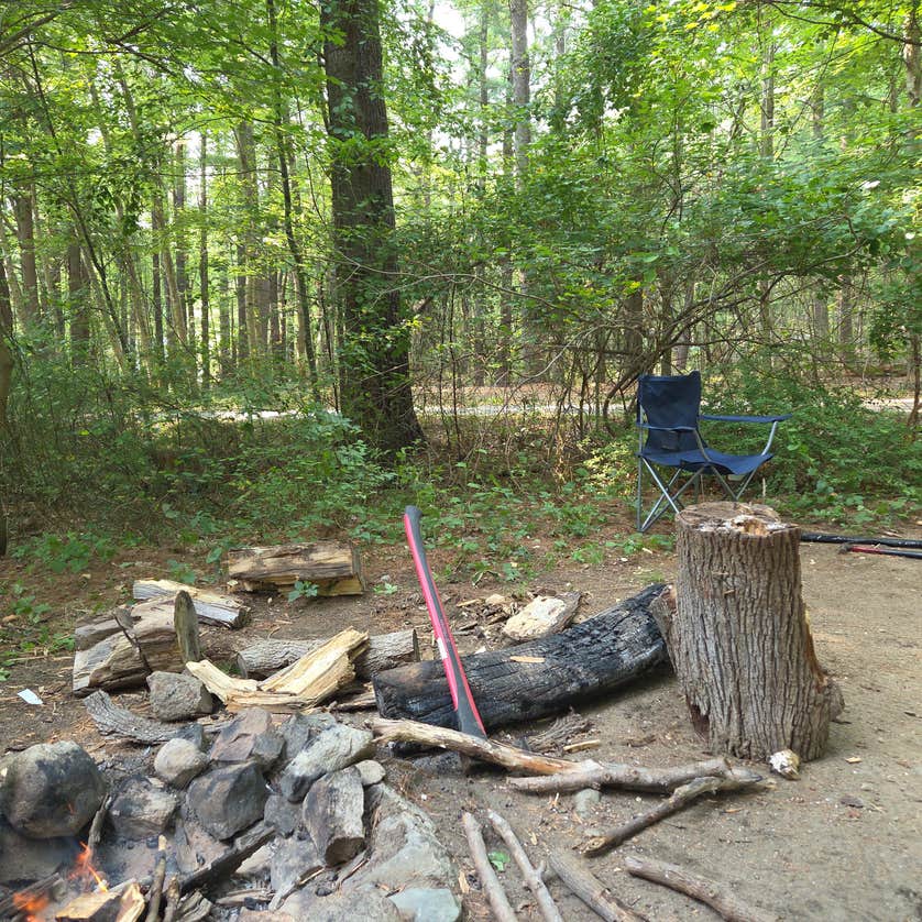Shawme Crowell State Forest Campground | Sandwich, Massachusetts