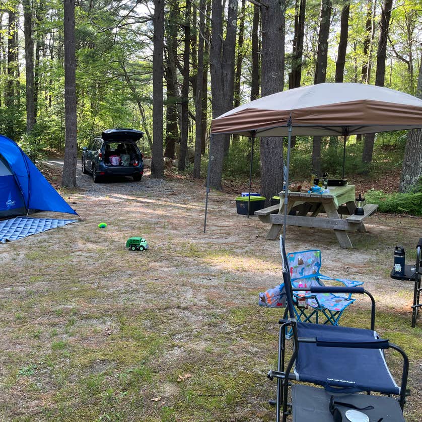 Shawme Crowell State Forest Camping | Sandwich, MA
