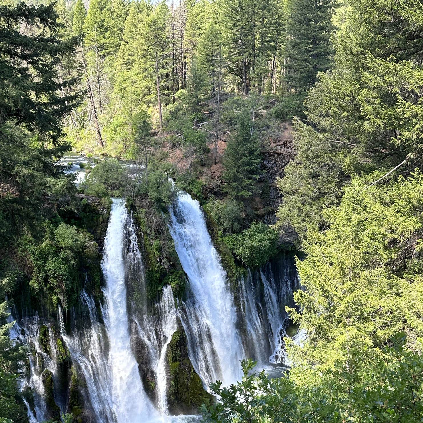 McArthur-Burney Falls Memorial State Park Campground | Burney, CA