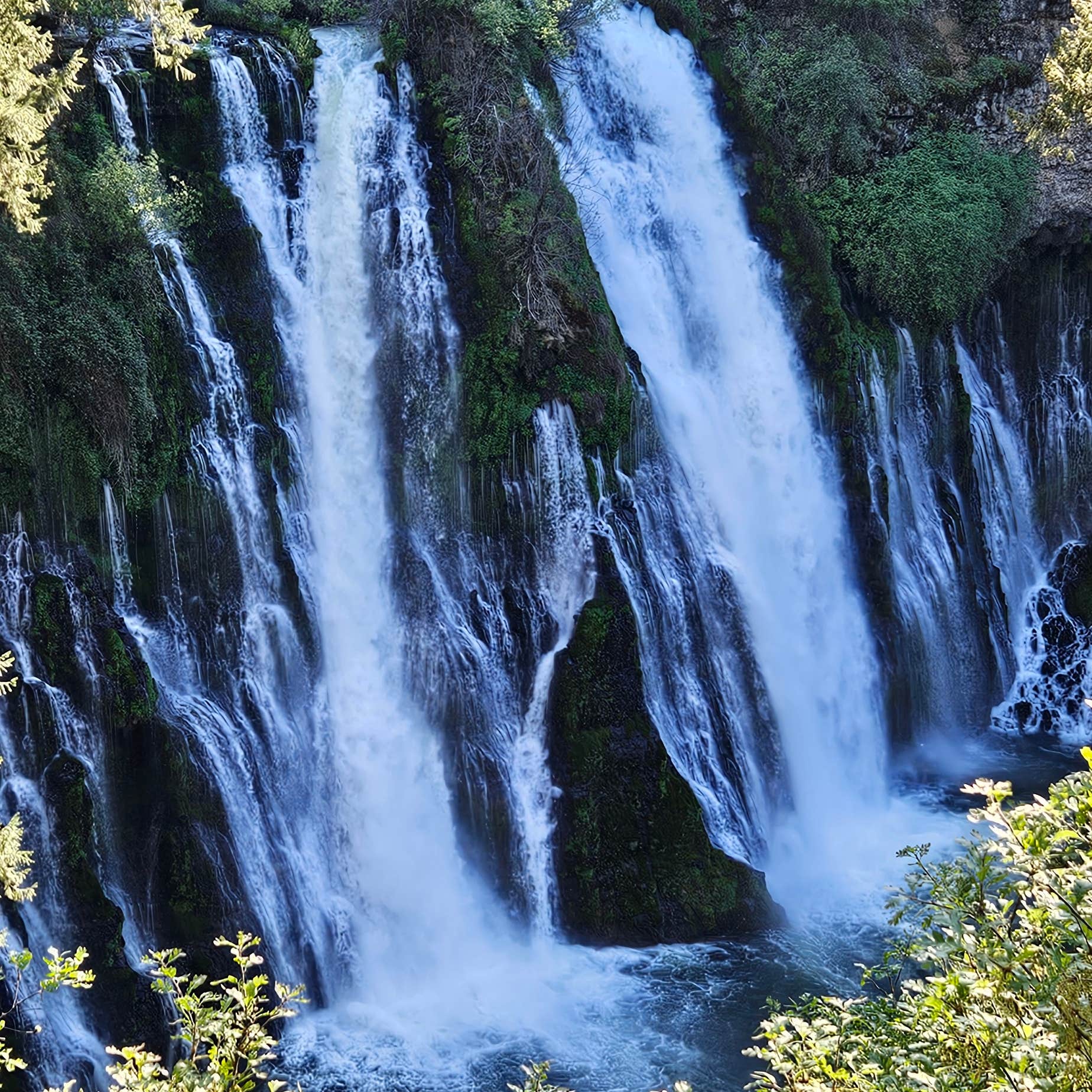 McArthur-Burney Falls Memorial State Park Campground | Cassel, California