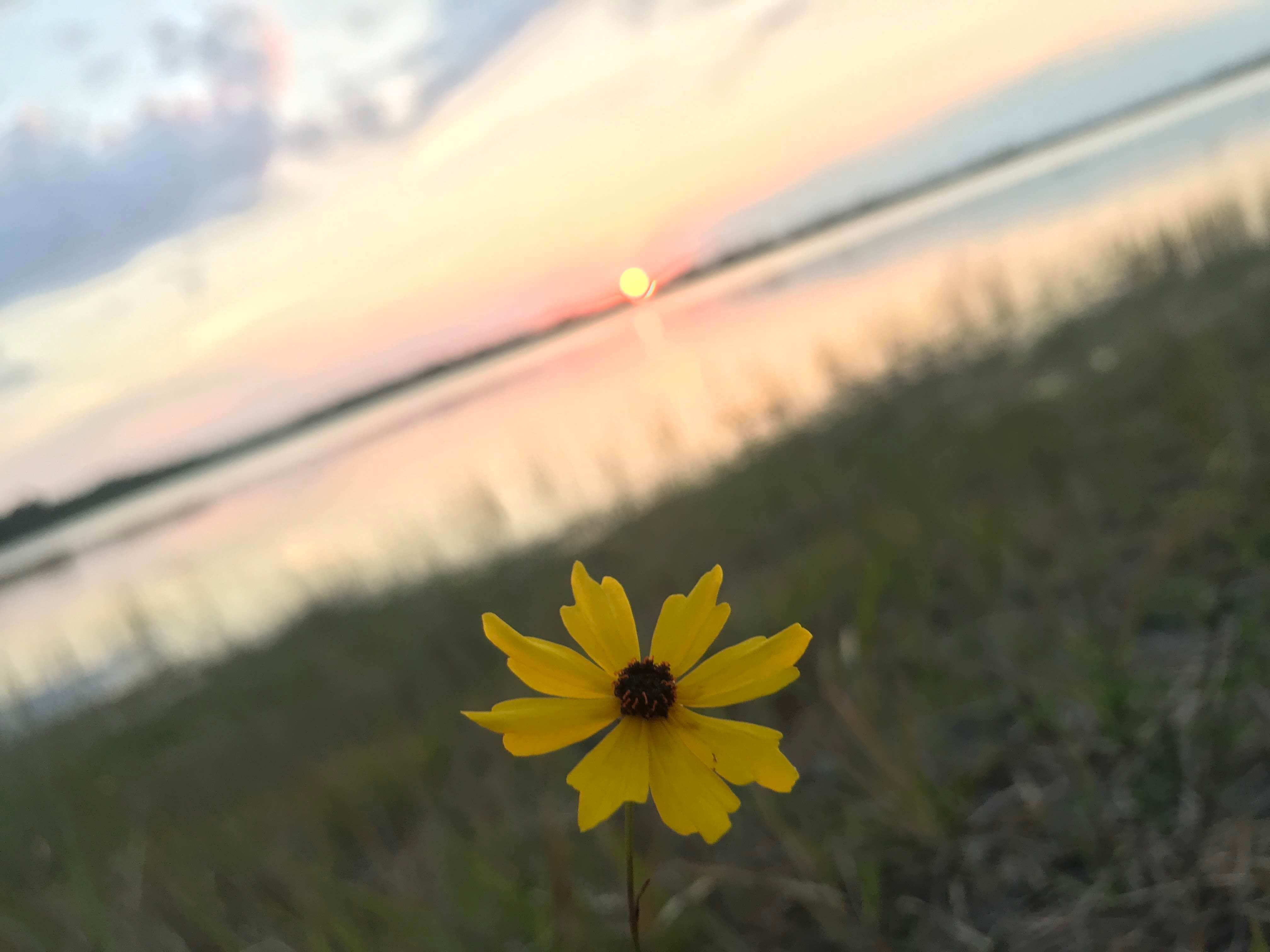 McCarthy Ranch Preserve Camping | Port Saint Lucie, FL