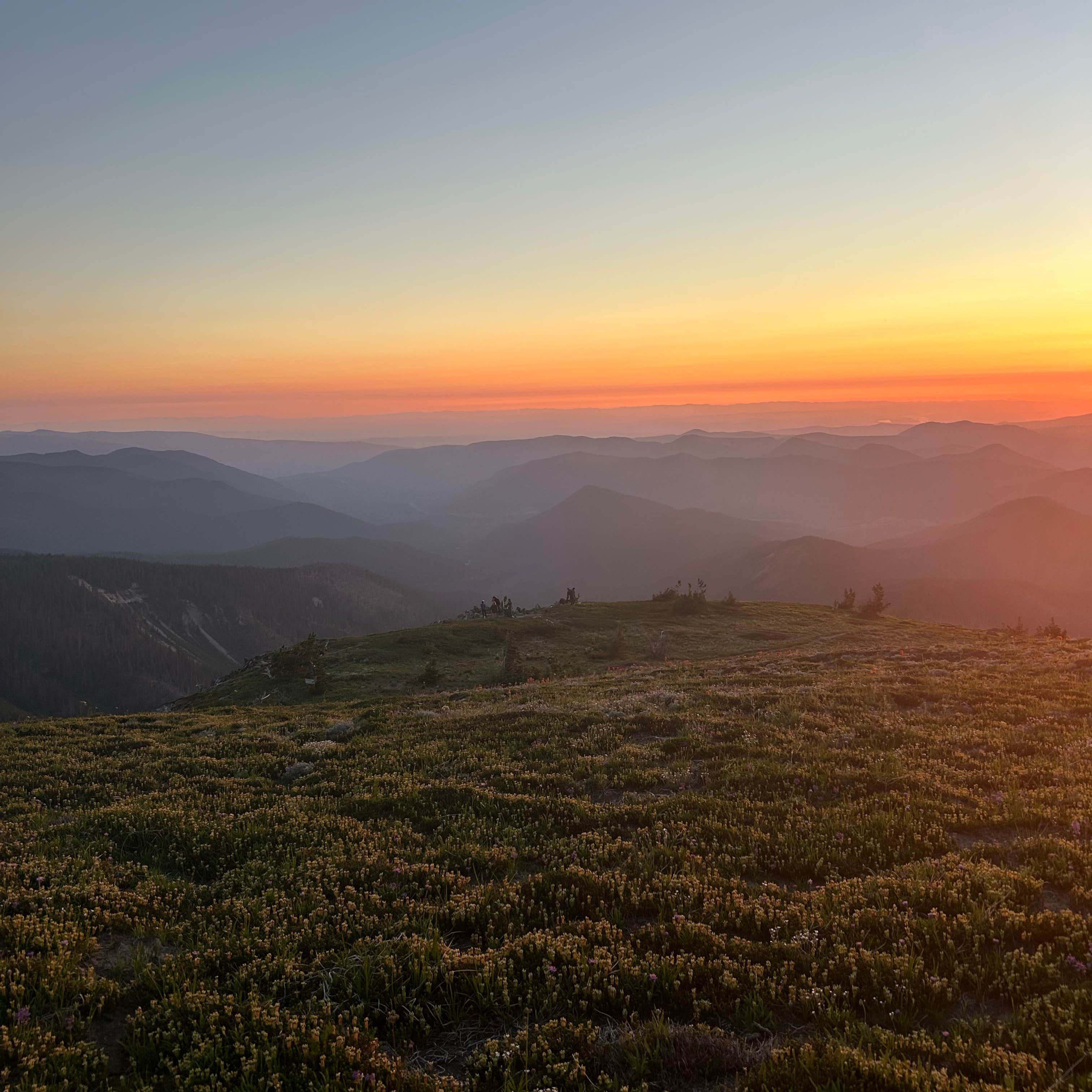 McNeil Point Dispersed Camping | Government Camp, Oregon