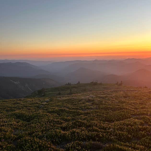 McNeil Point Dispersed Camping | Government Camp, Oregon