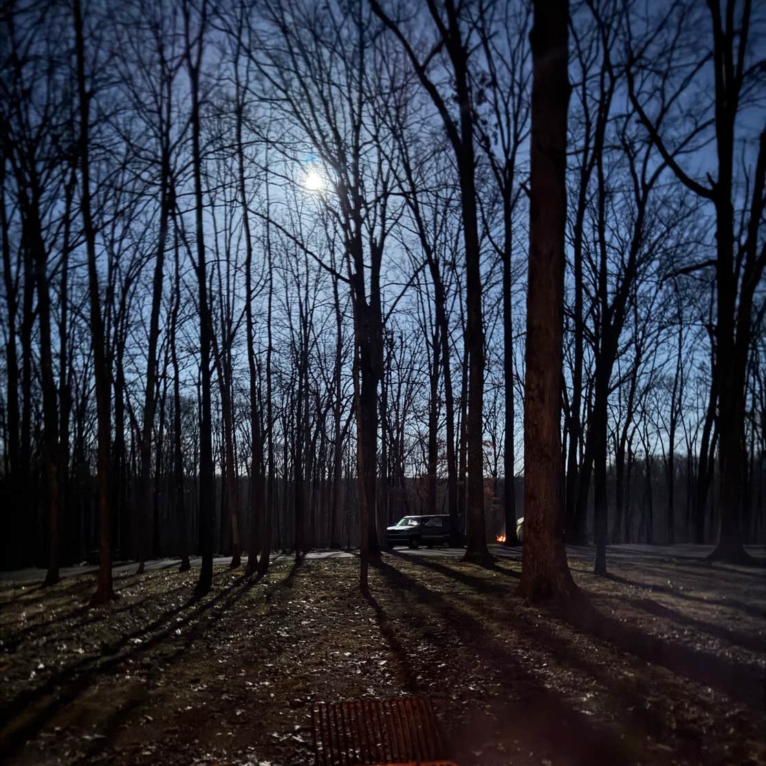Meriwether Lewis Campground | Hohenwald, Tennessee