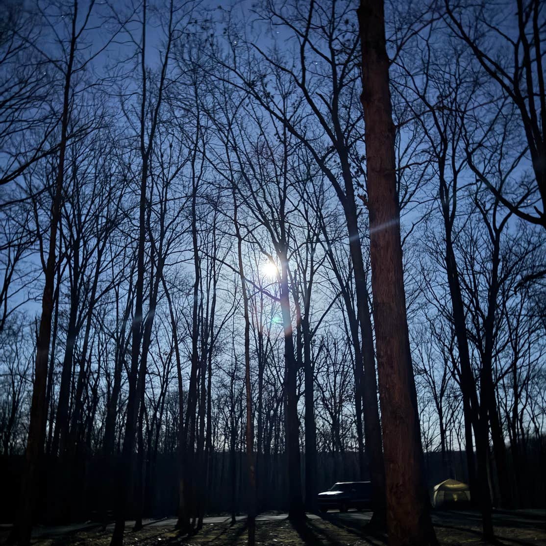 Meriwether Lewis Campground | Hohenwald, Tennessee
