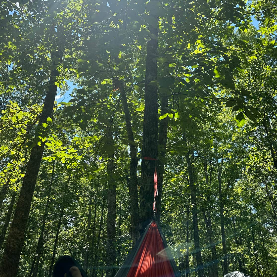 Meriwether Lewis Campground | Tupelo, MS