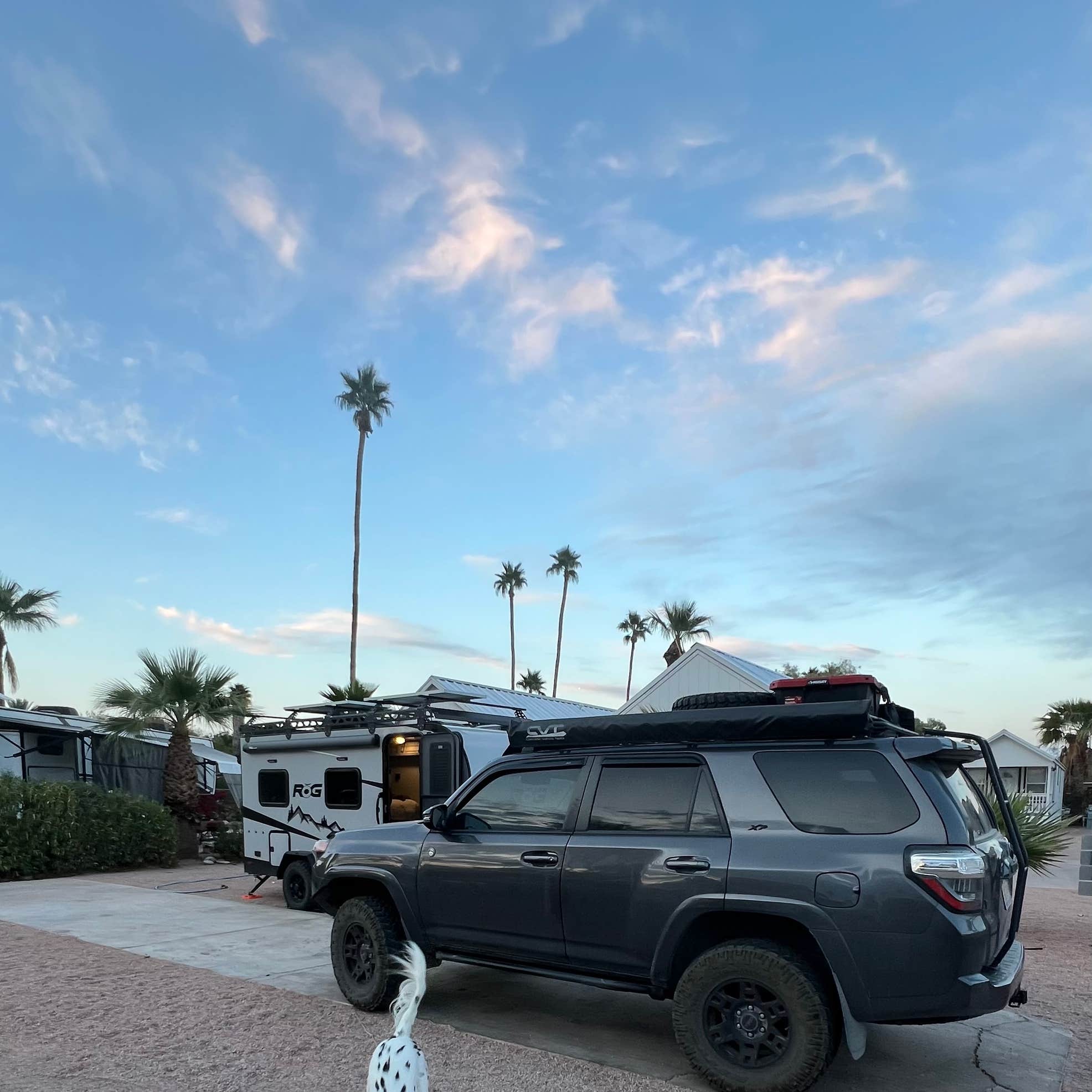 Mesa Gardens RV Park | Salt River, Arizona