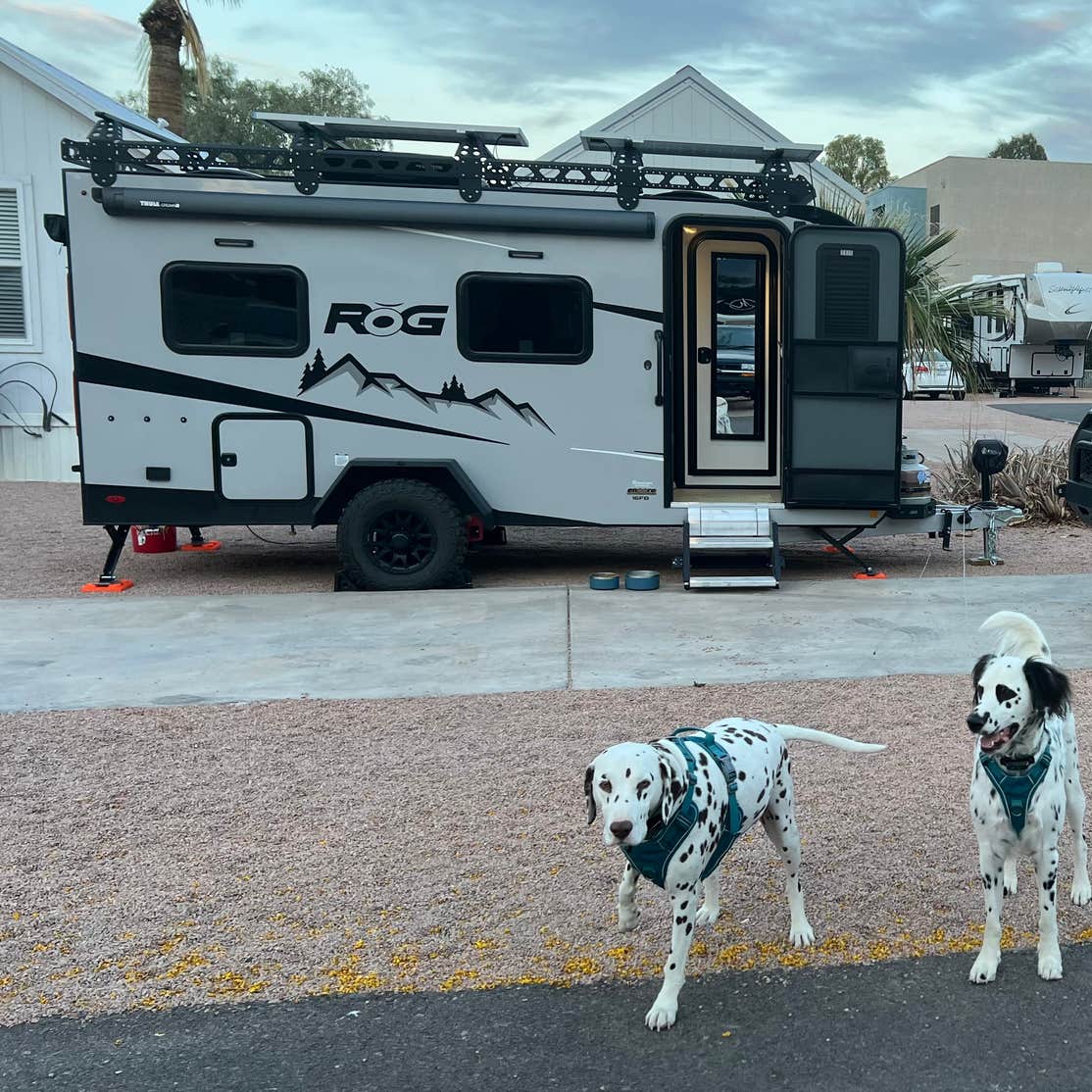 Mesa Gardens RV Park | Salt River, Arizona