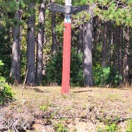 Alcona Park Camping | Glennie, Michigan