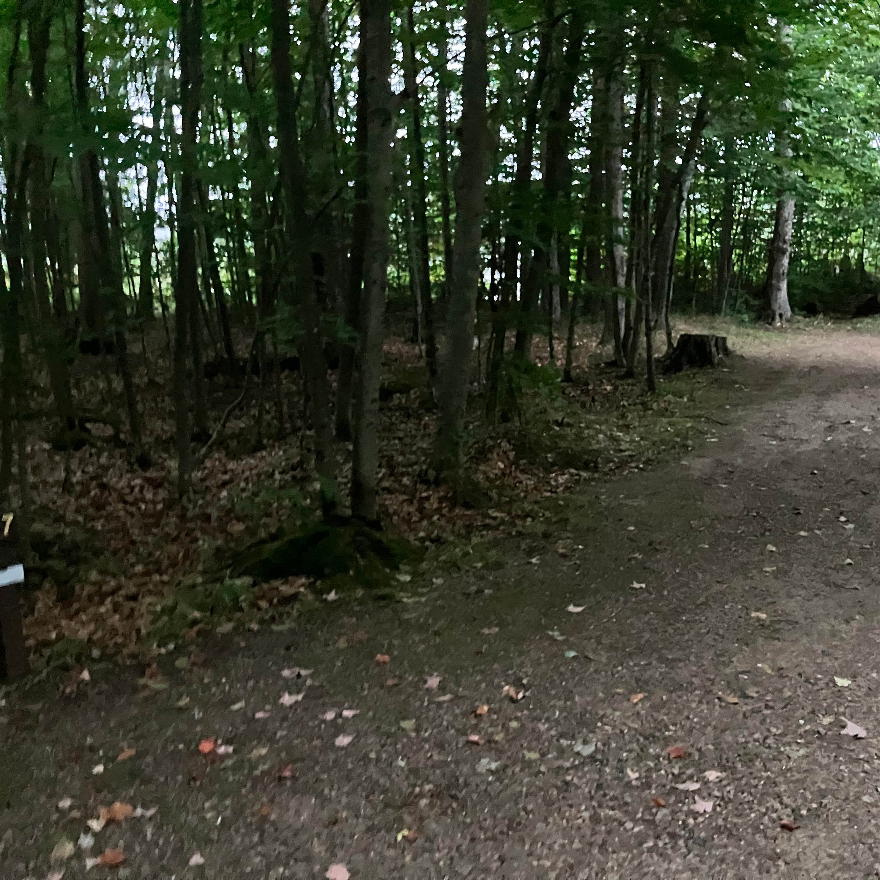 Au Train Lake Campground | Au Train, Michigan