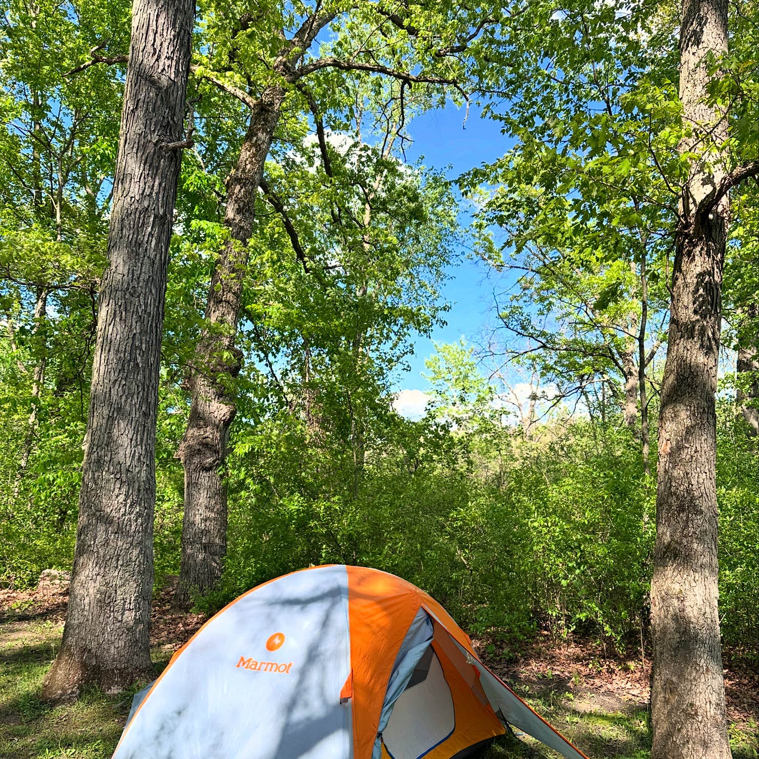 Appleton Lake Campground | Brighton, Michigan