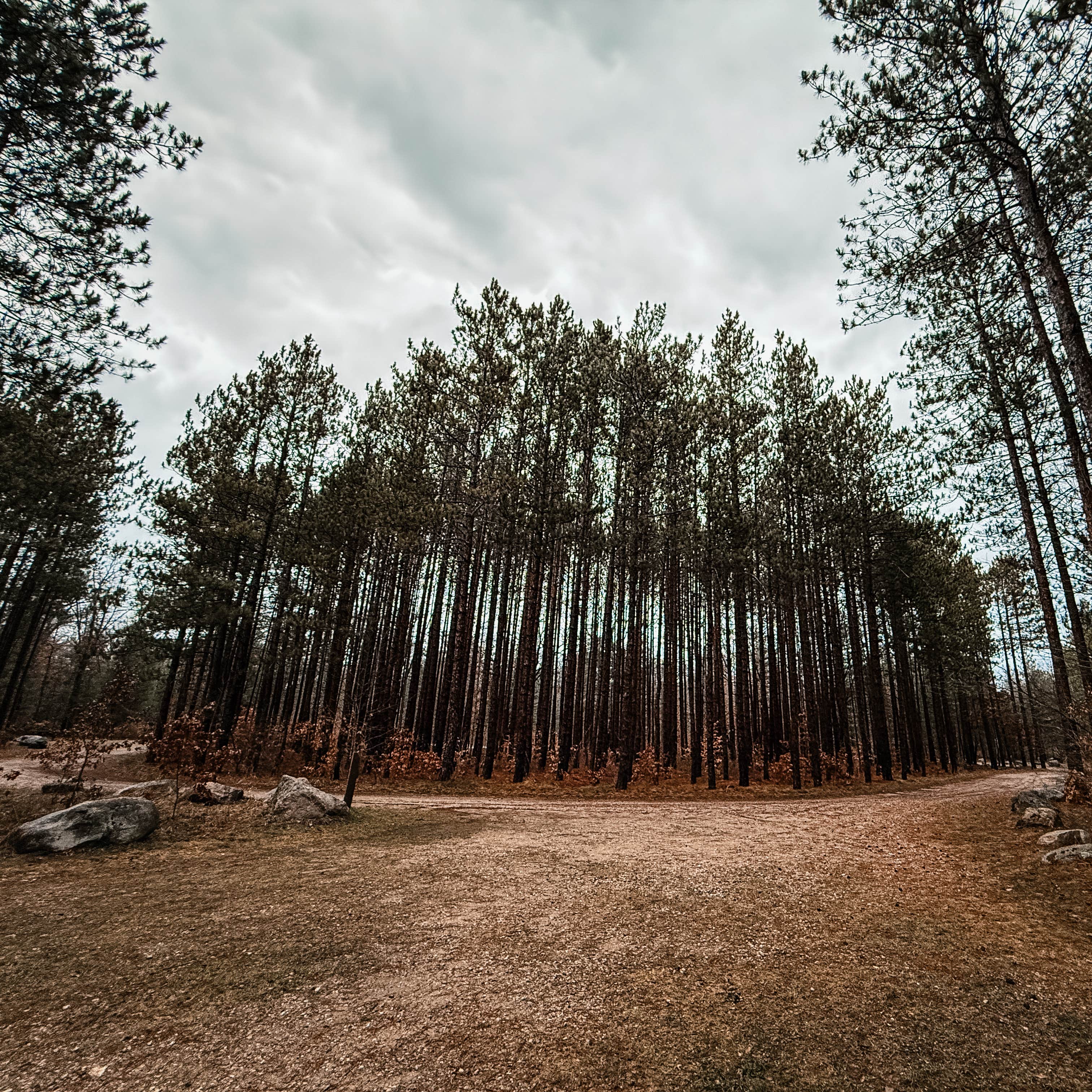 Carrieville State Forest Campground | Luther, Michigan