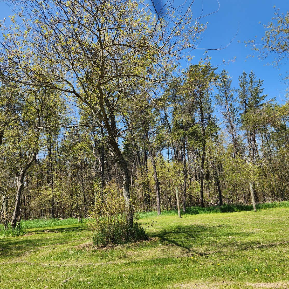 Goose Creek Trail Camp | Frederic, Michigan