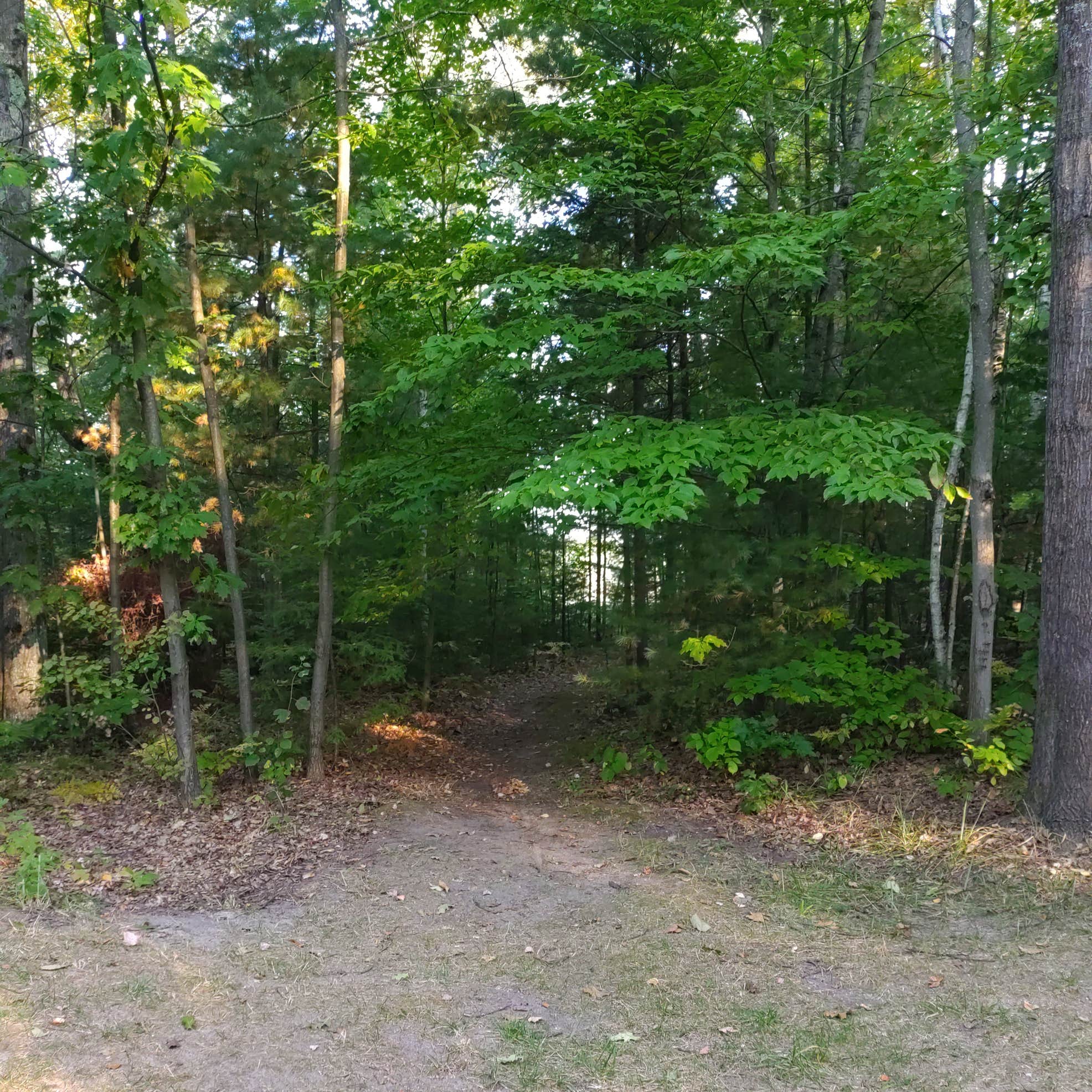 Jewell Lake Campground | Barton City, Michigan