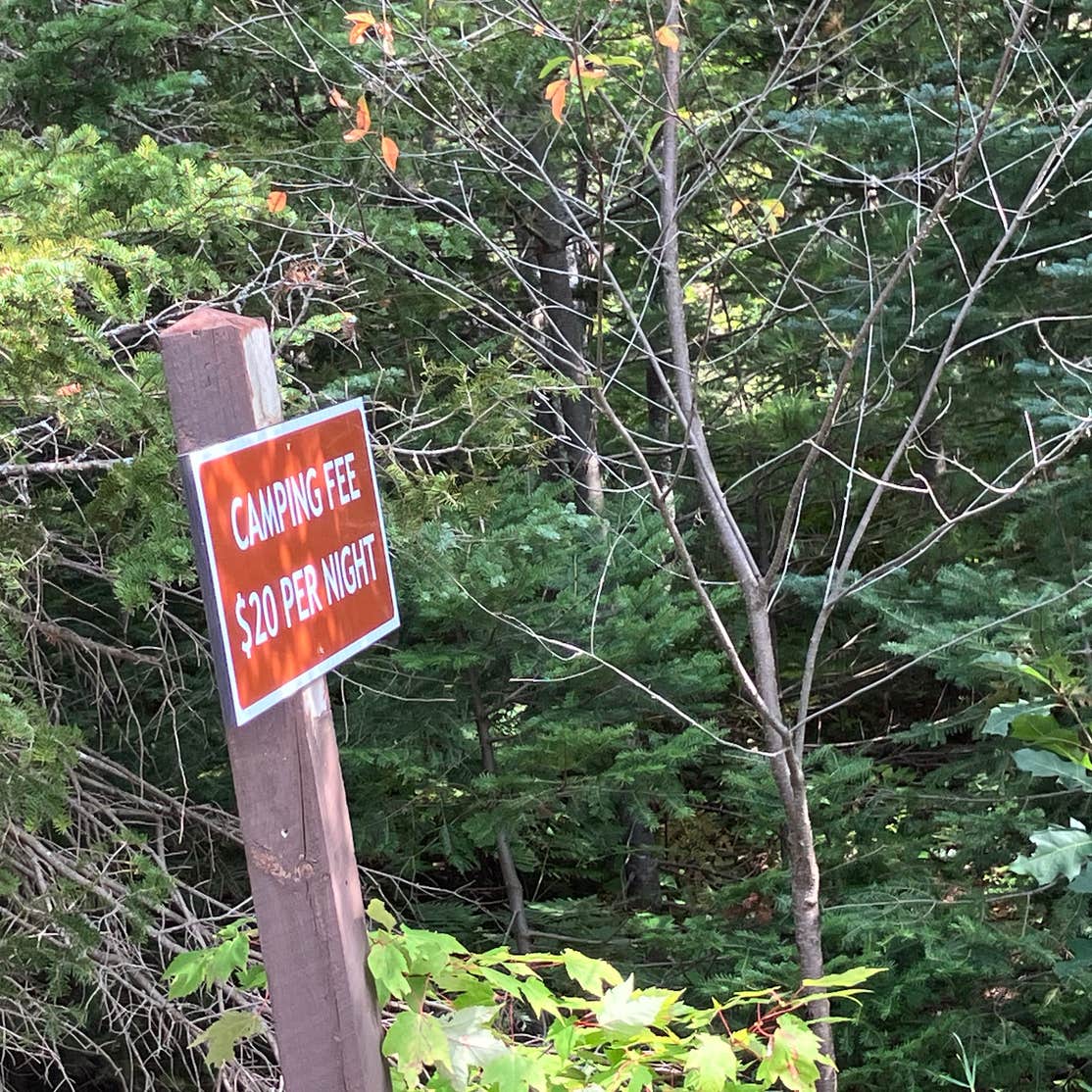 Kingston Lake State Forest Camping | Shingleton, MI