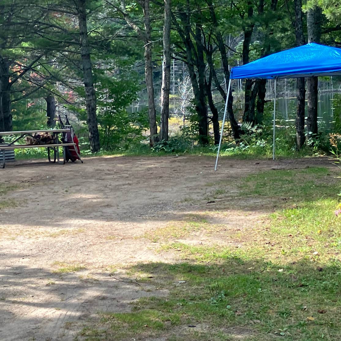 Kingston Lake State Forest Camping | Shingleton, MI