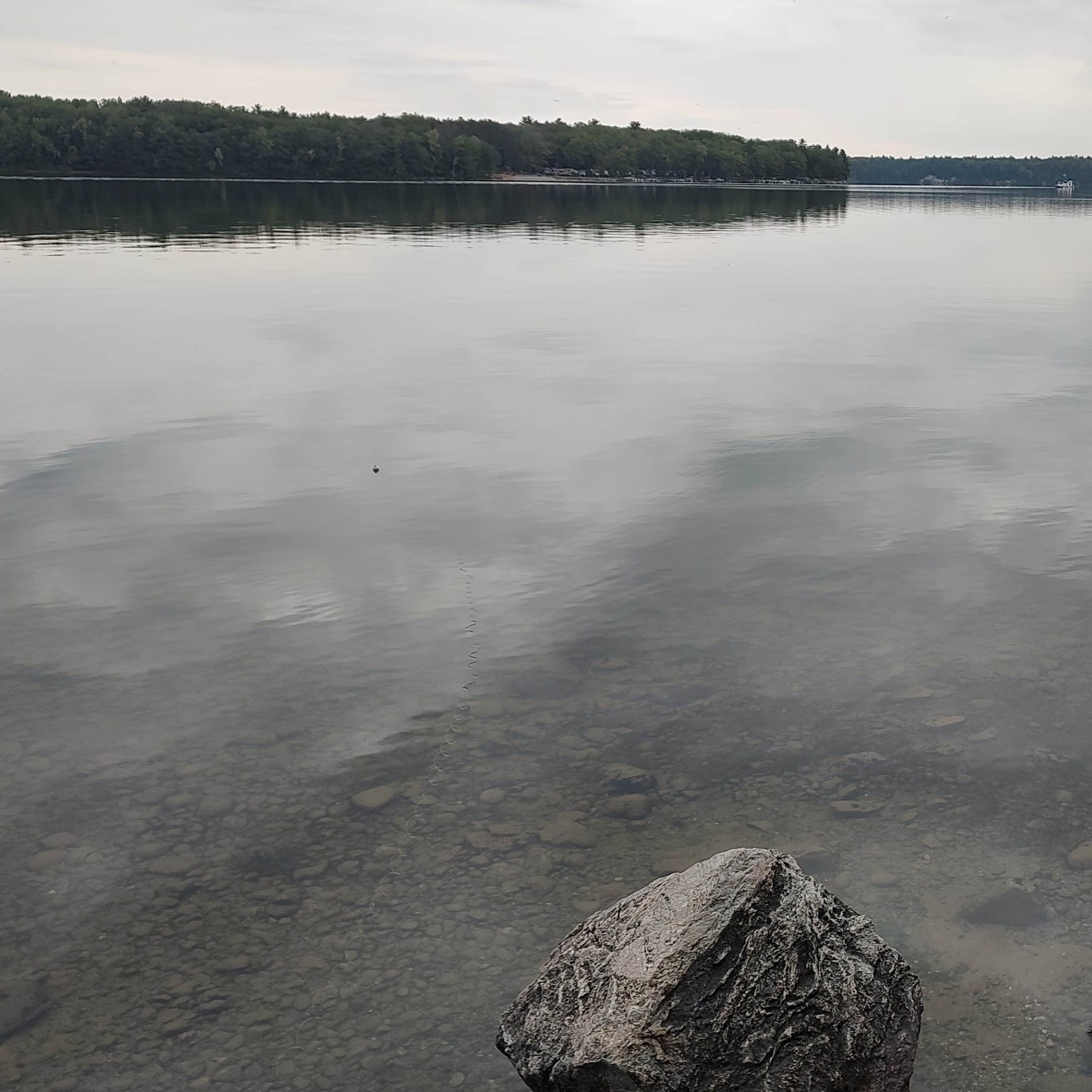 Newaygo State Park Campground | Newaygo, MI