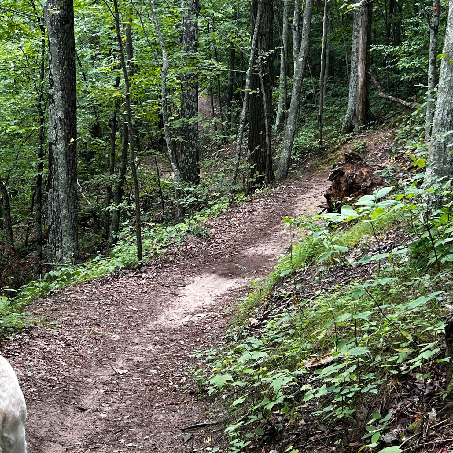 Newaygo State Park Campground | Newaygo, MI