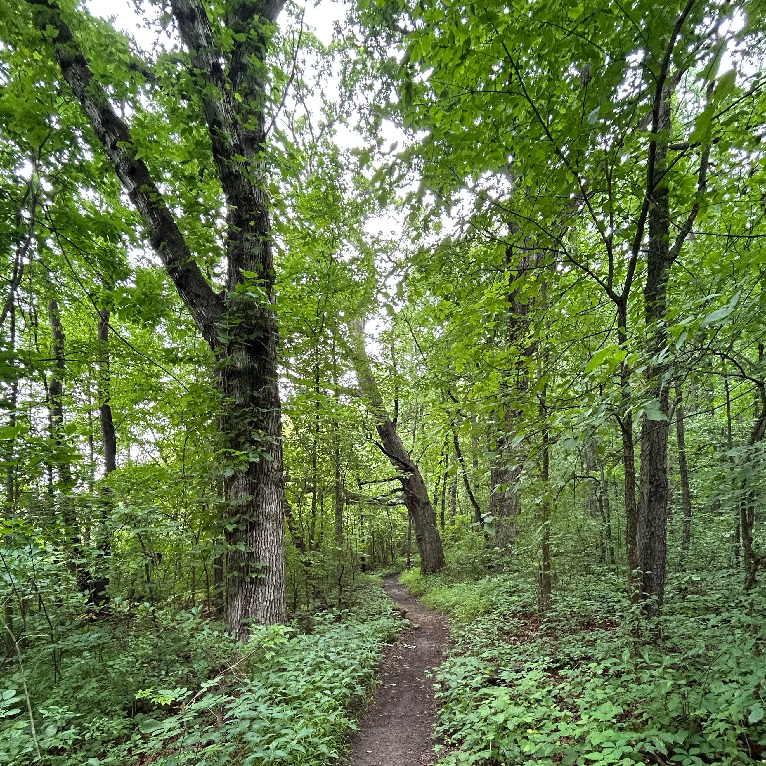 Seven Lakes State Park Campground | Holly, Michigan