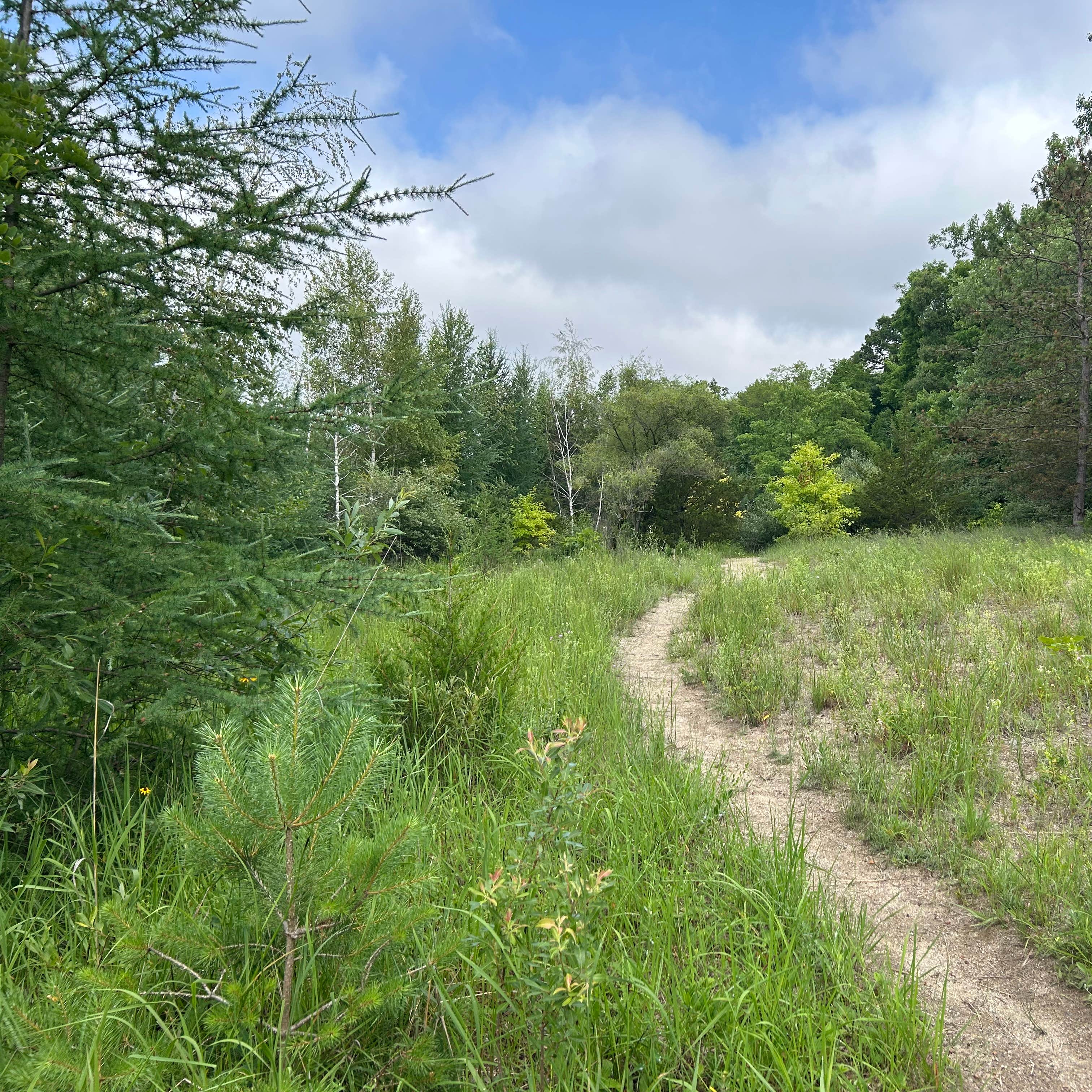 Seven Lakes State Park Campground | Holly, Michigan