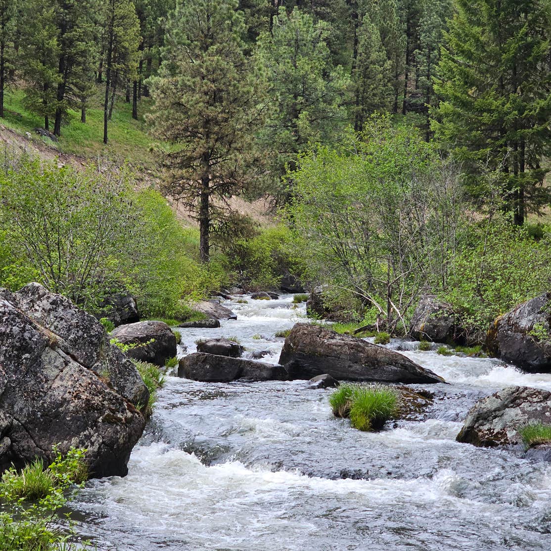 Middle Fork Campground | Unity, Oregon