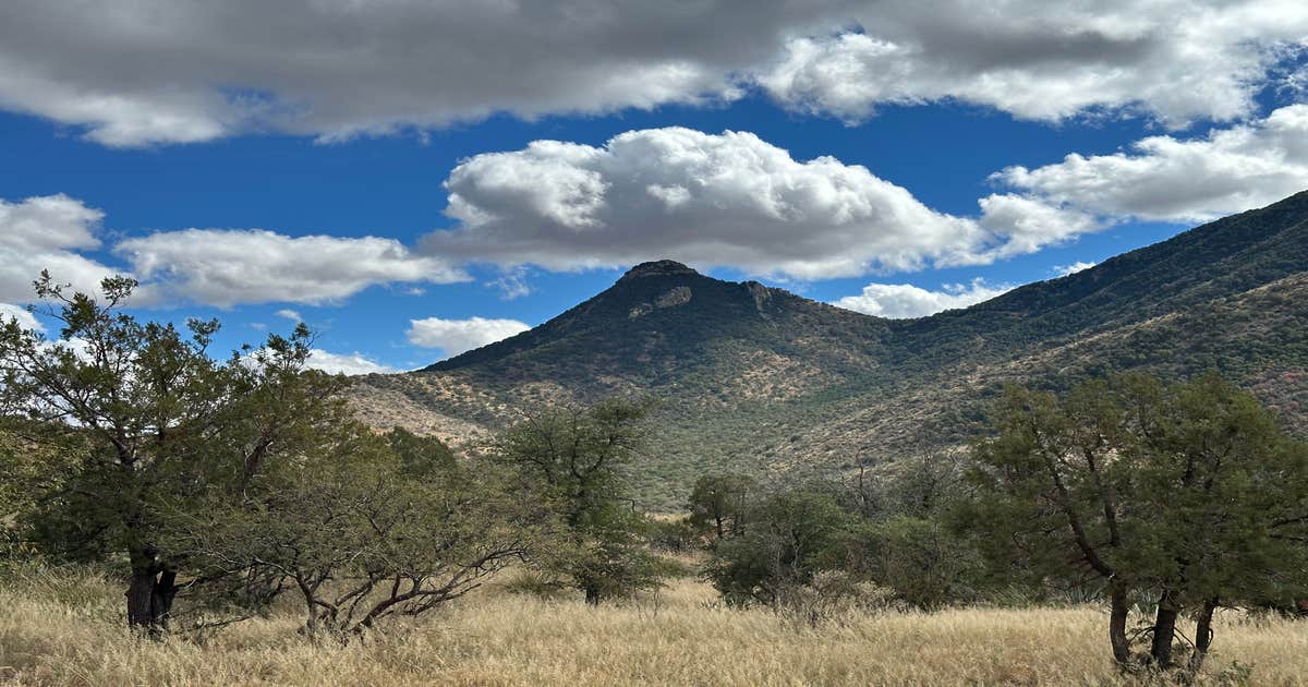 Middlemarch Pass Dispersed Camping | Pearce, Arizona