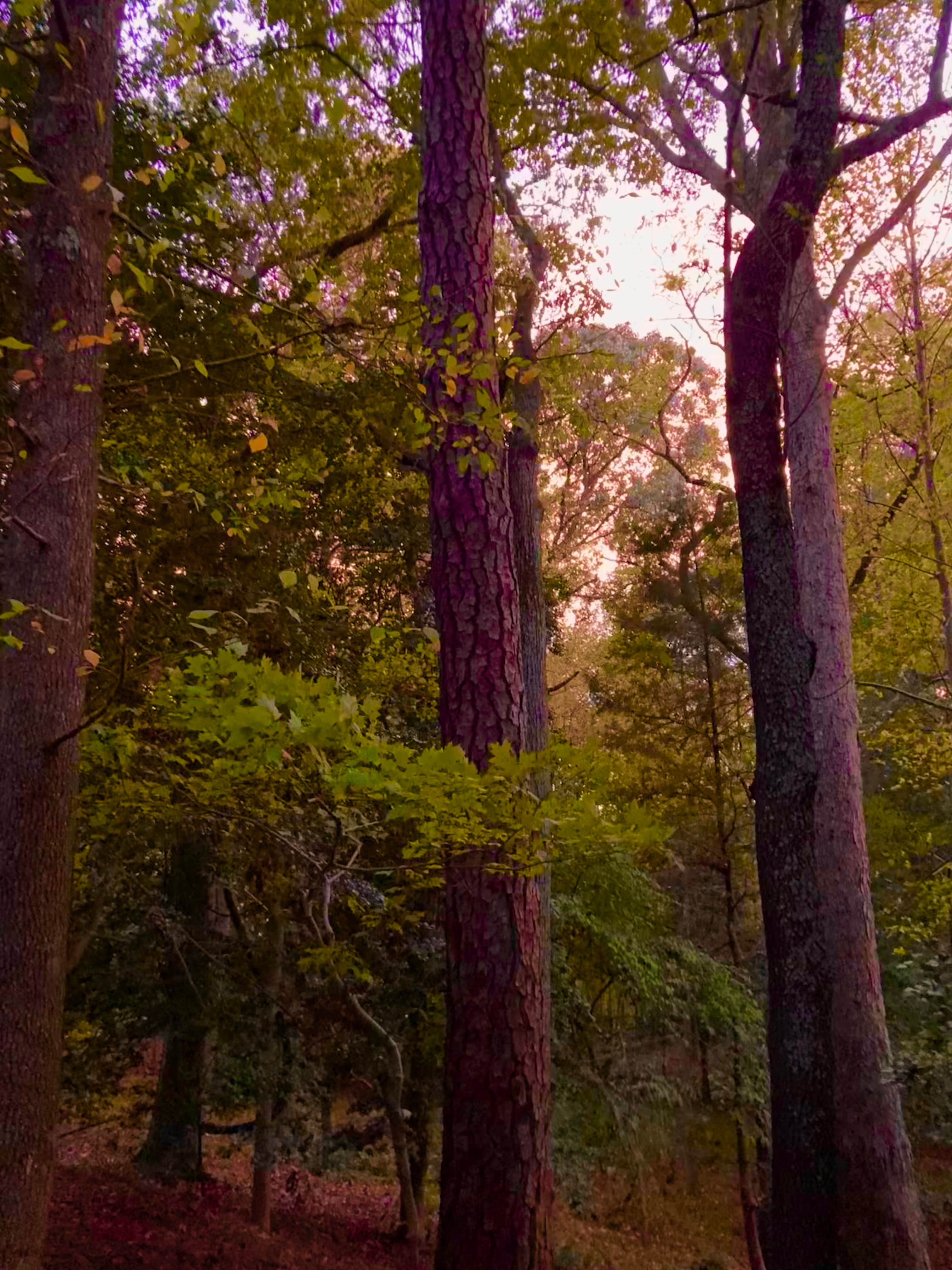 Military Park Cheatham Annex / Yorktown Naval Weapons Station RV ...