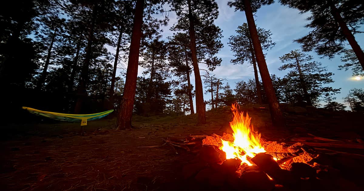 Milk Ranch Point Road Camping | Pine, AZ