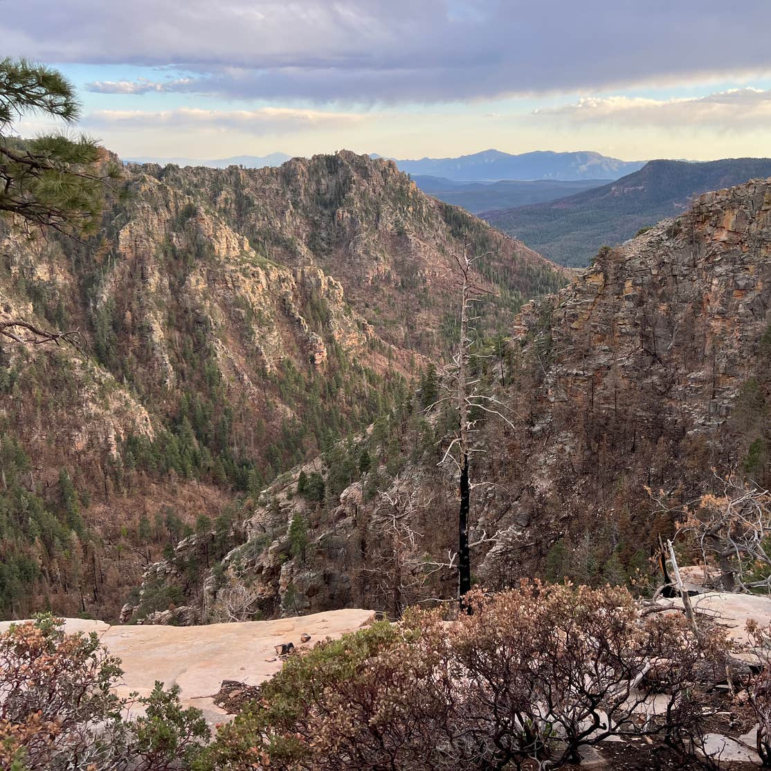 Milk Ranch Point Road Camping | Pine, Arizona
