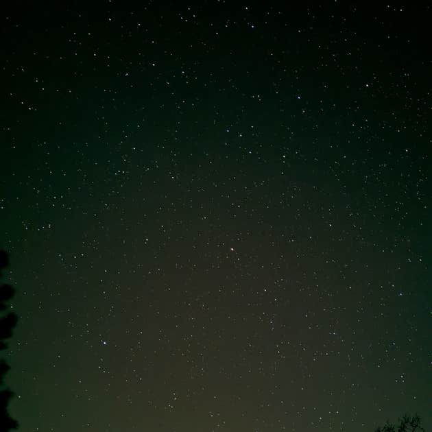 Milk Ranch Point Camping | Pine, AZ