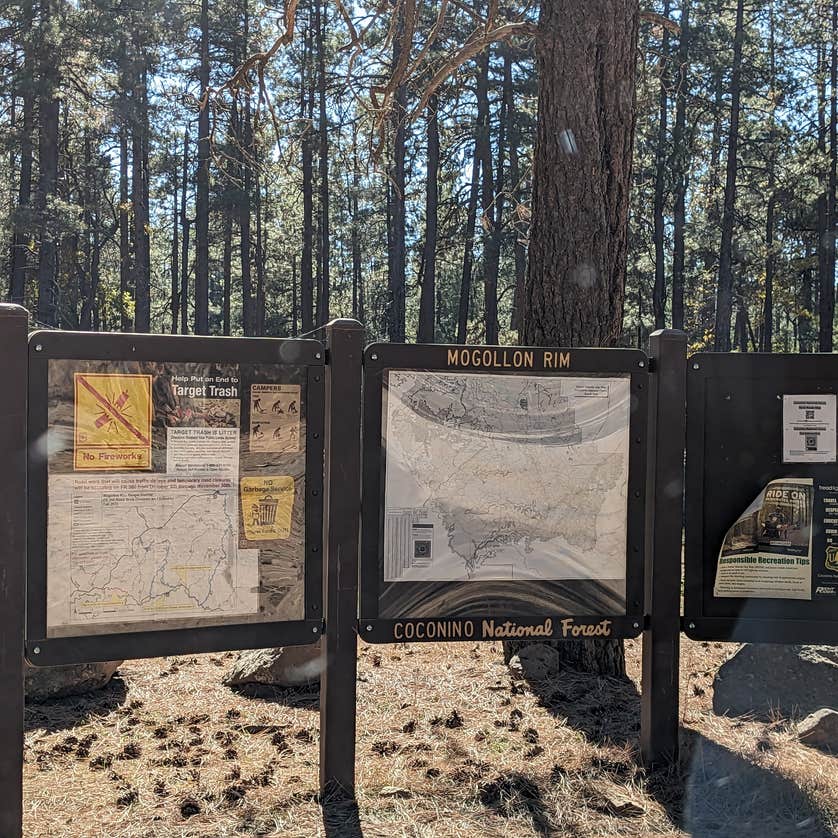 Milk Ranch Point Camping | Pine, Arizona