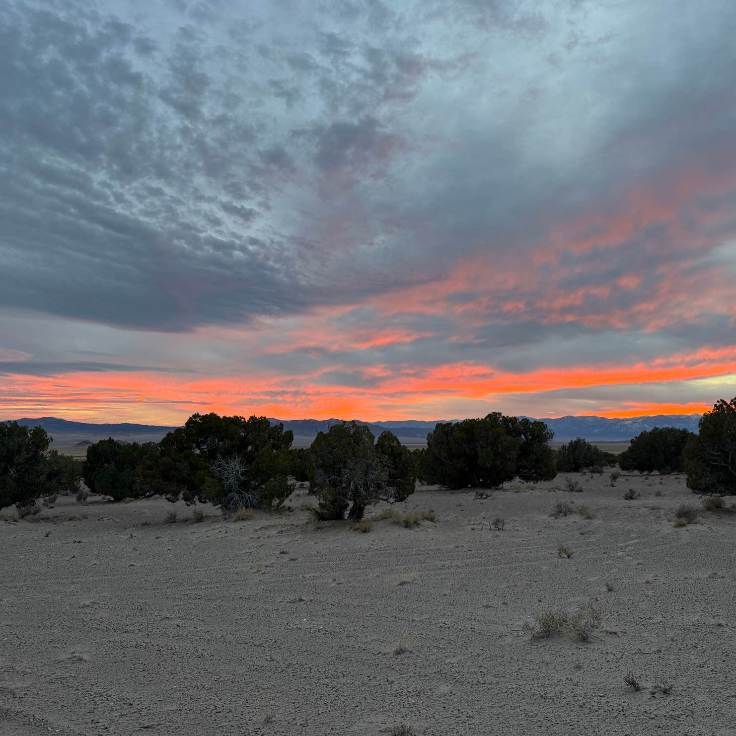Millard Desert Camp | Garrison, Utah
