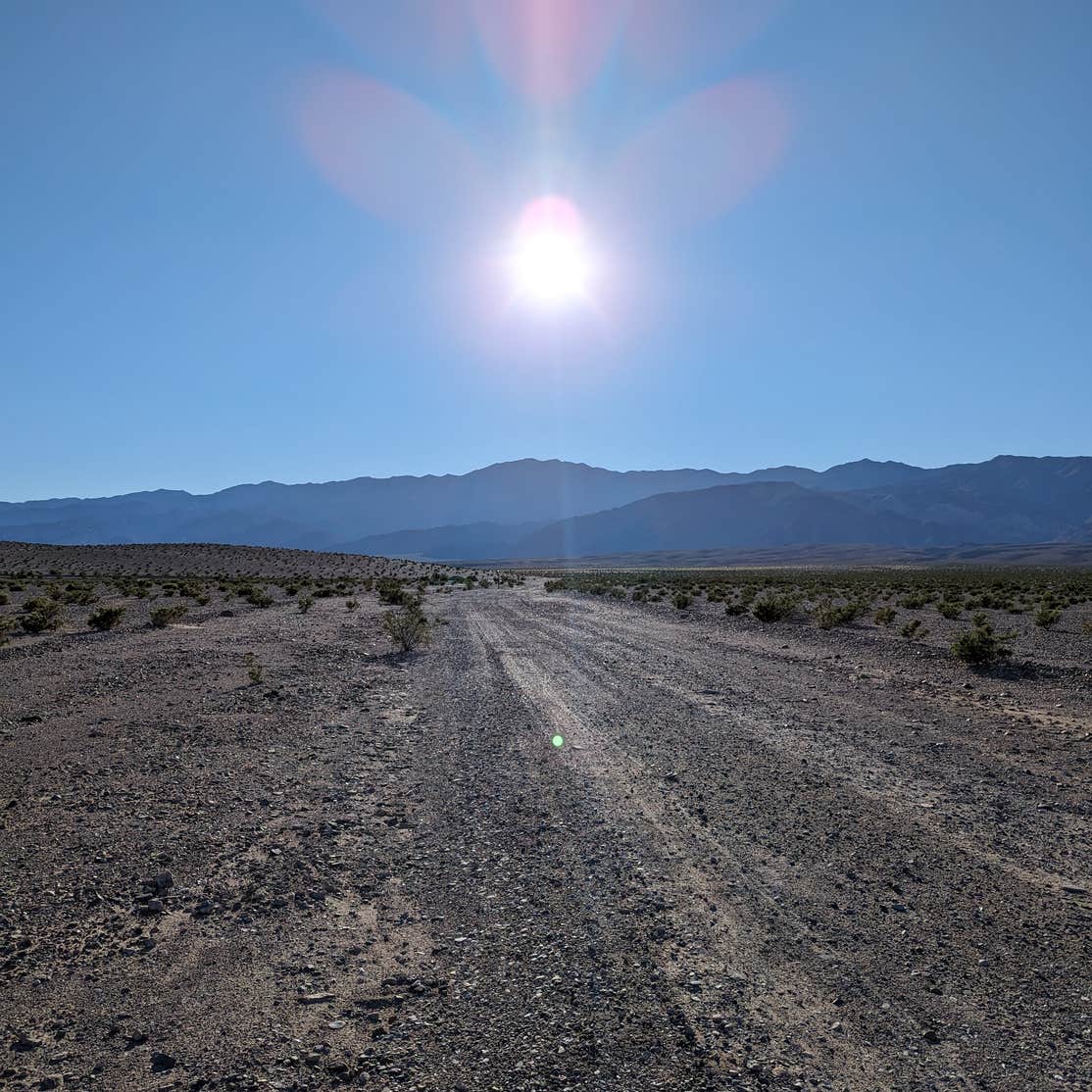 Minietta Road Camping | Darwin, CA