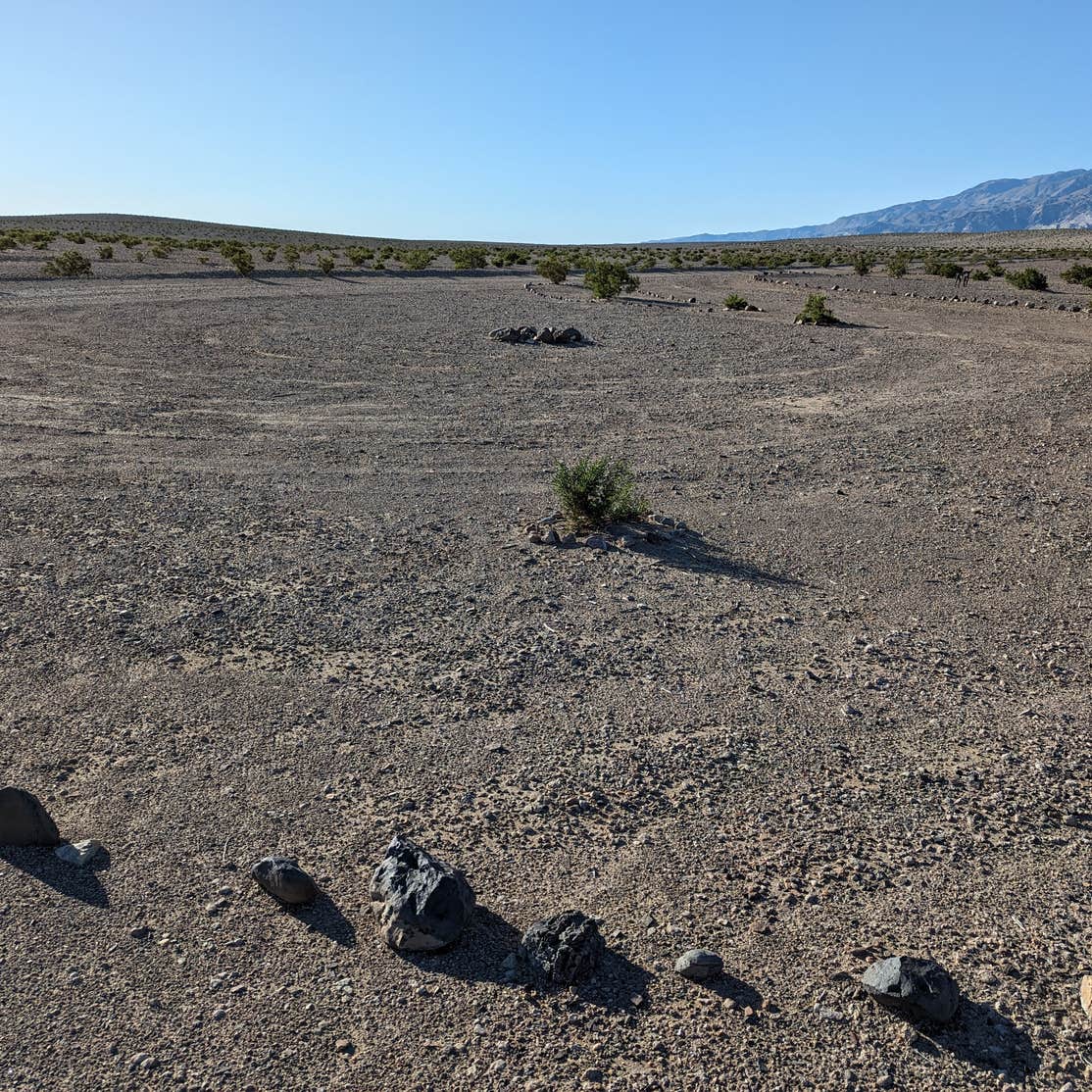 Minietta Road Camping | Darwin, California