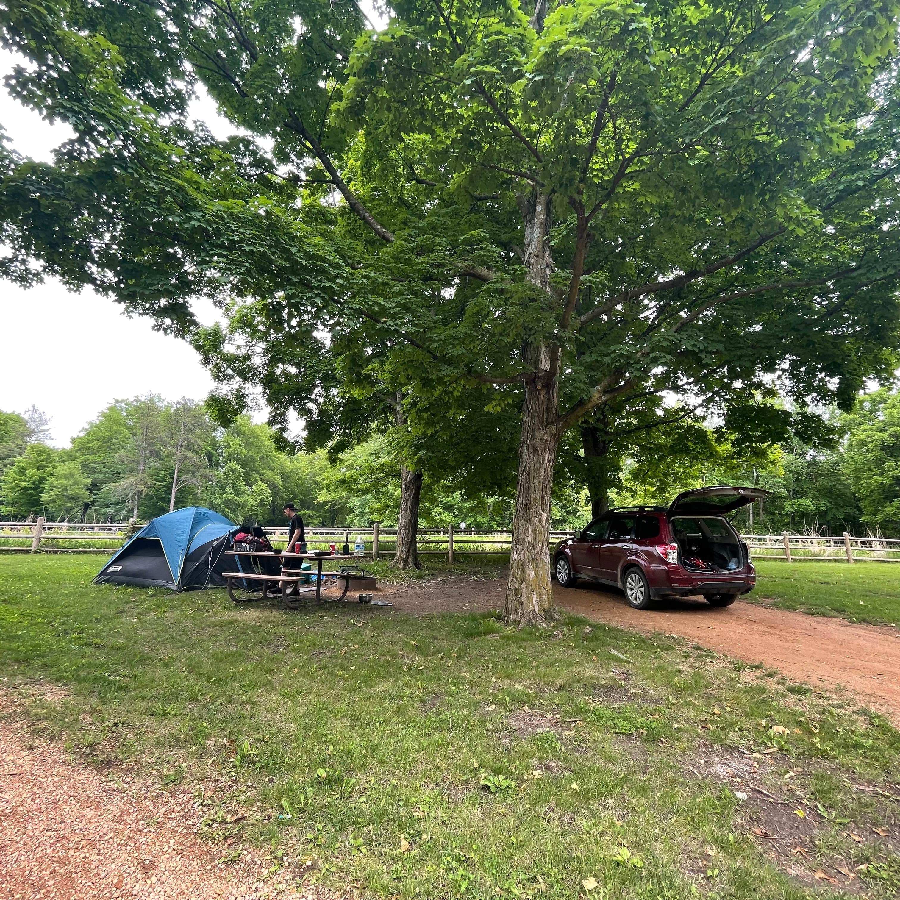 Baker Campground - Baker Park Reserve | Maple Plain, Minnesota