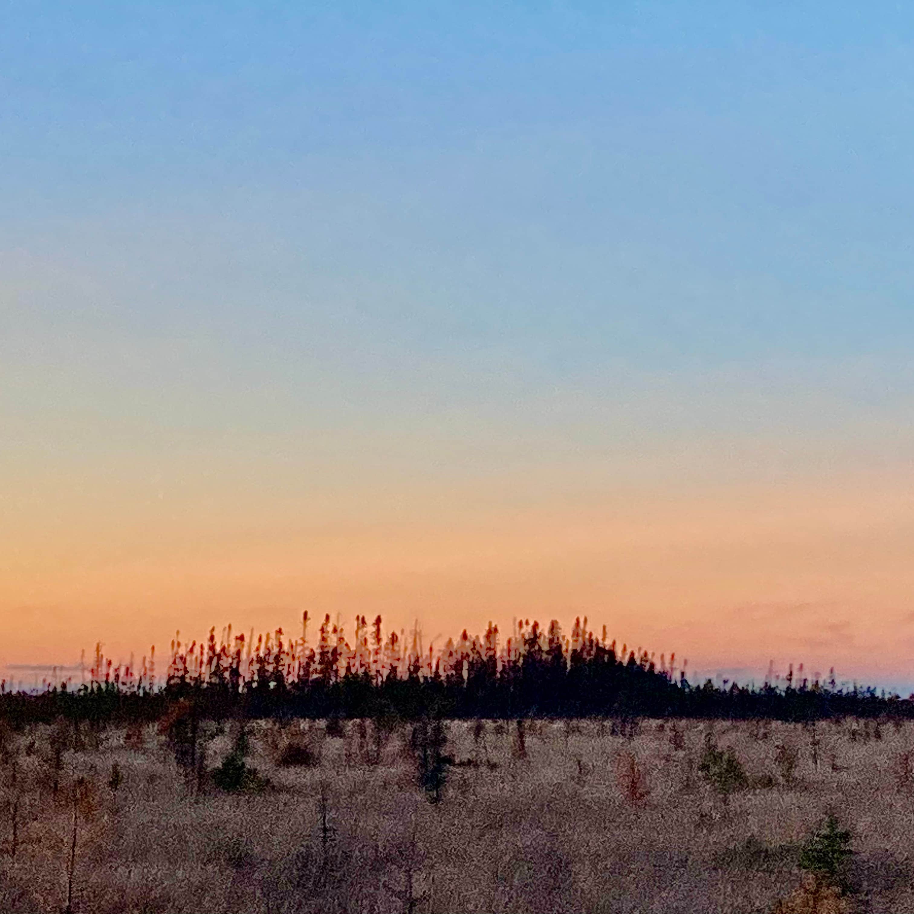 Big Bog State Recreation Area Campground | Blackduck, Minnesota