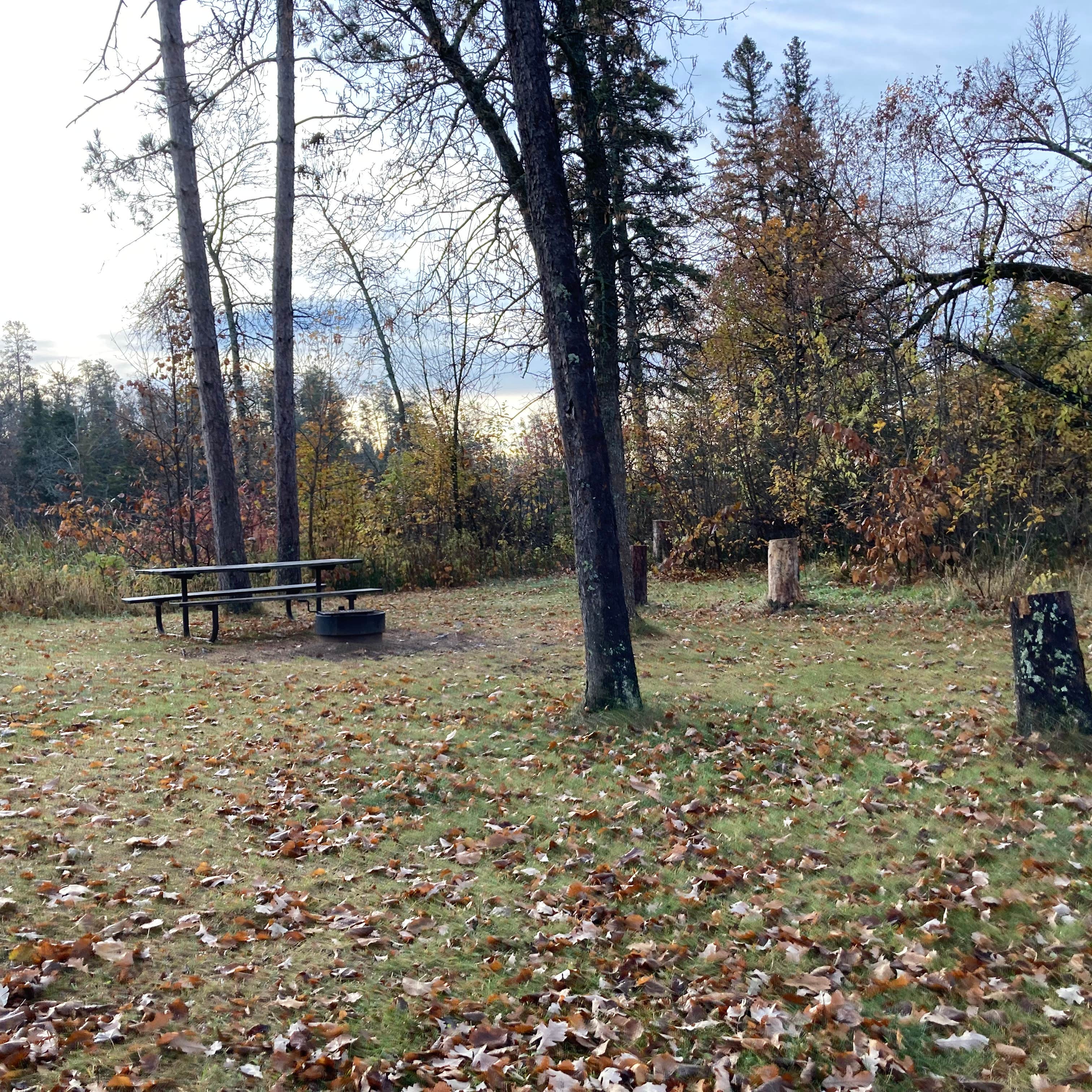 Big Bog State Recreation Area Campground | Blackduck, Minnesota