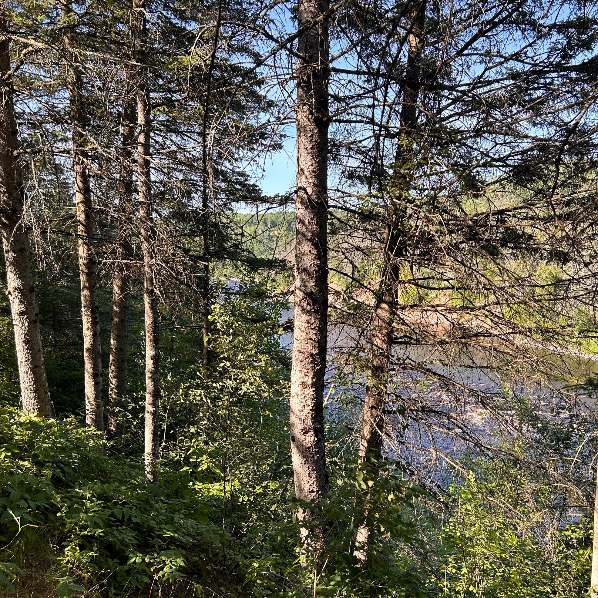 Jay Cooke State Park Campground | Carlton, Minnesota