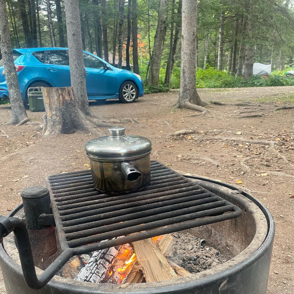 Judge C. R. Magney State Park Campground | Grand Marais, MN