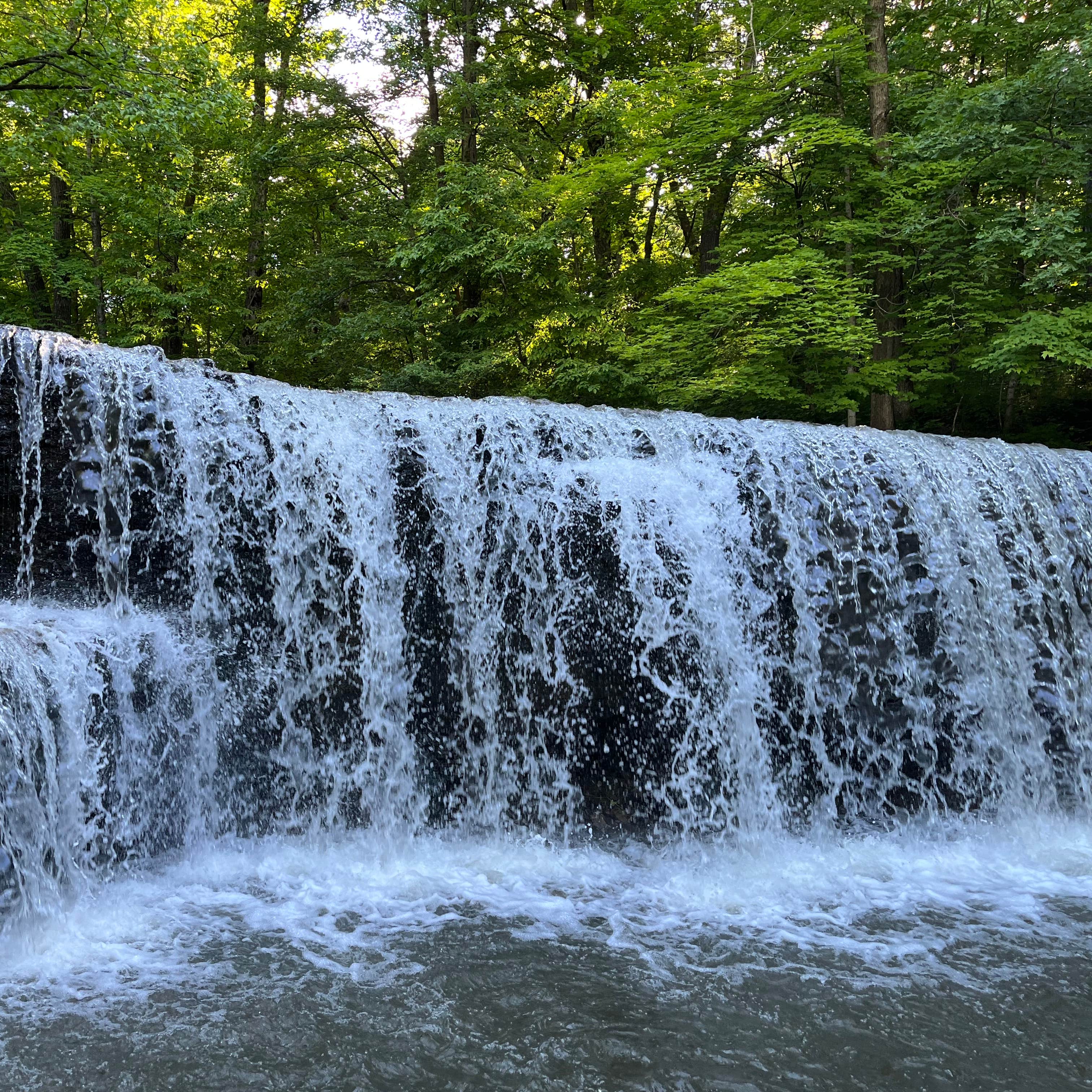 Nerstrand Big Woods State Park Campground | Nerstrand, Minnesota