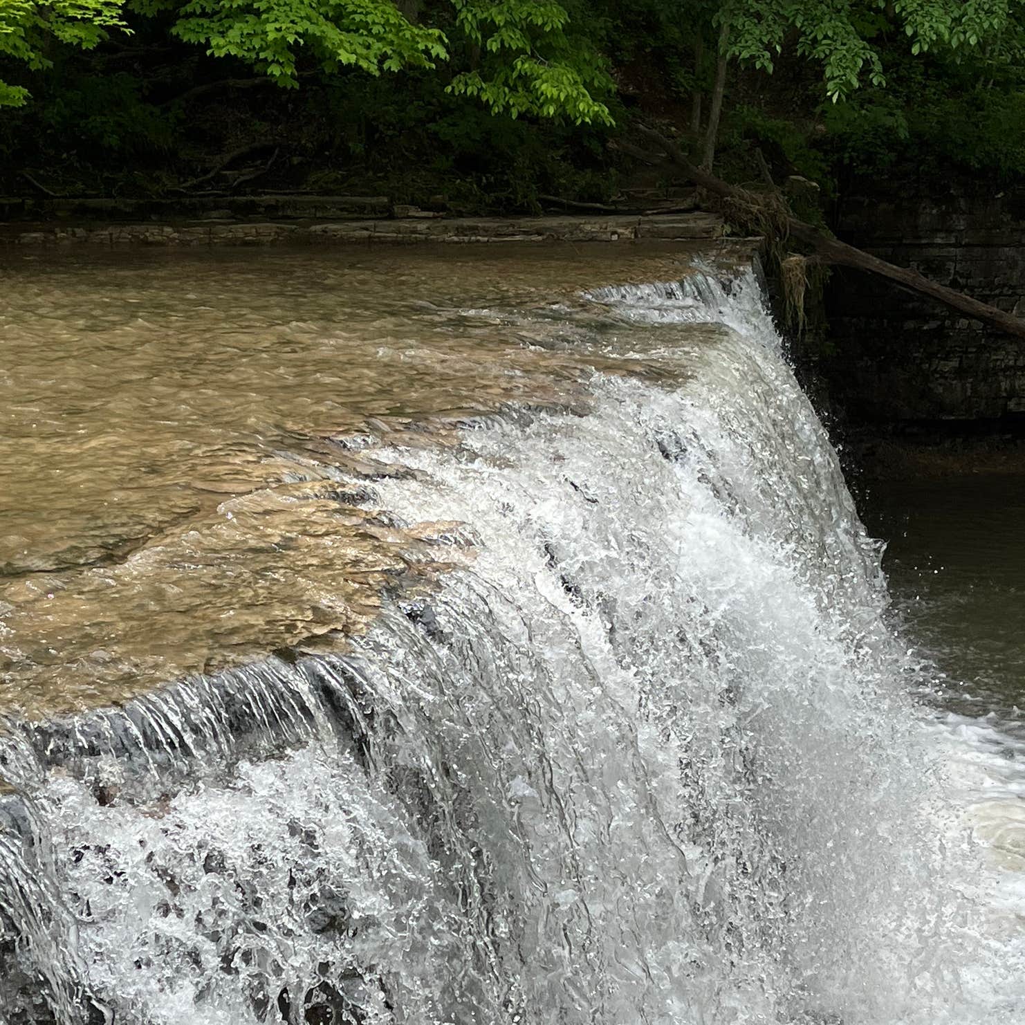 Nerstrand Big Woods State Park Campground | Nerstrand, MN
