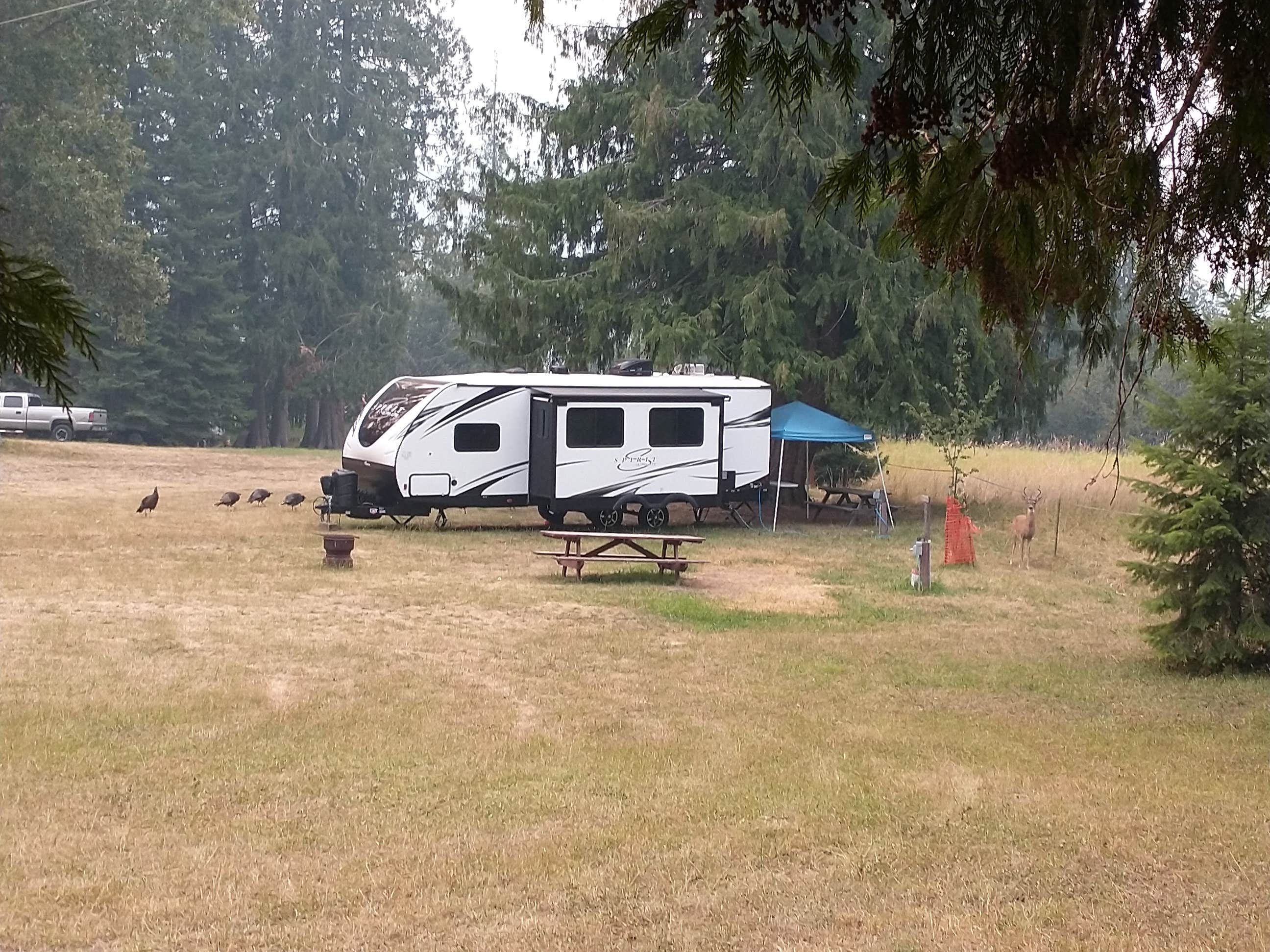 Mirror Lake Camping | Idaho Panhandle National Forests, Idaho