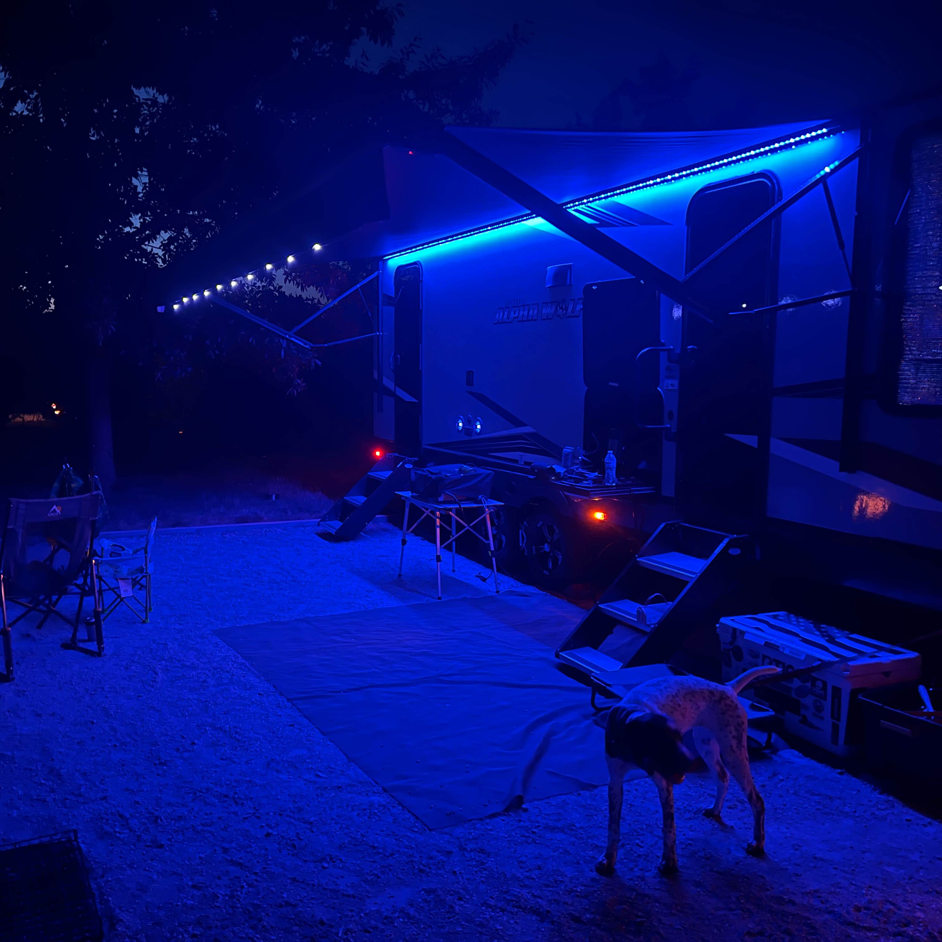 Mississinewa Lake Campground | Somerset, Indiana