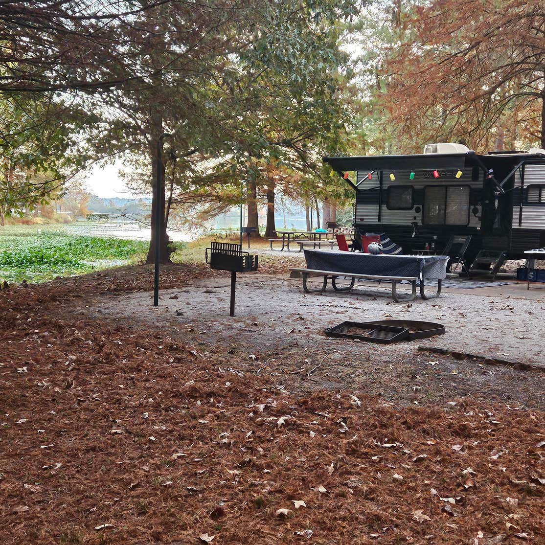 Blue Bluff Campground (aberdeen Ms) | Aberdeen, MS