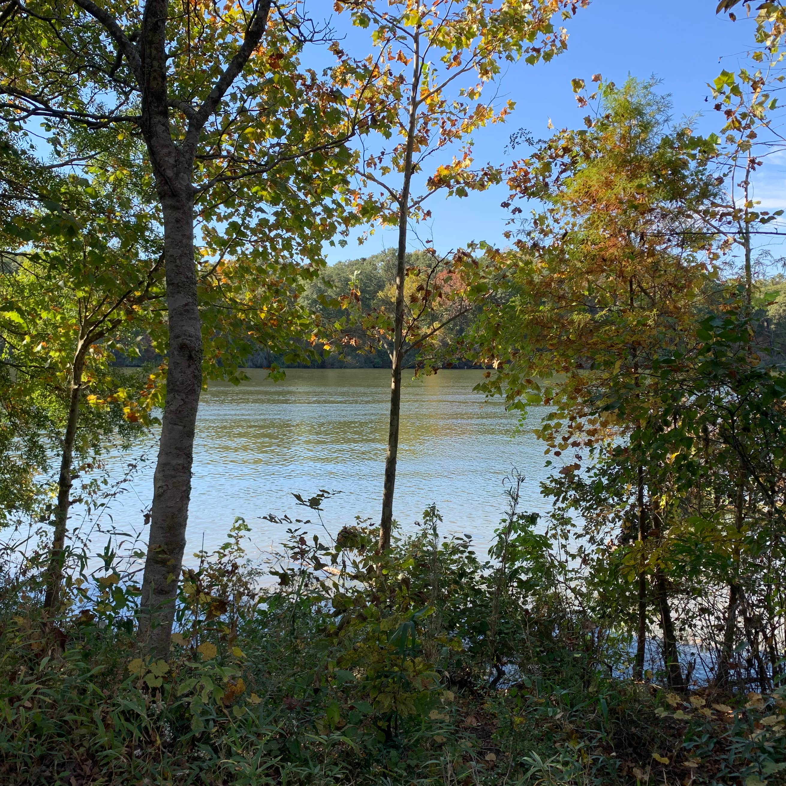 Dewayne Hayes Campground | Columbus, Mississippi